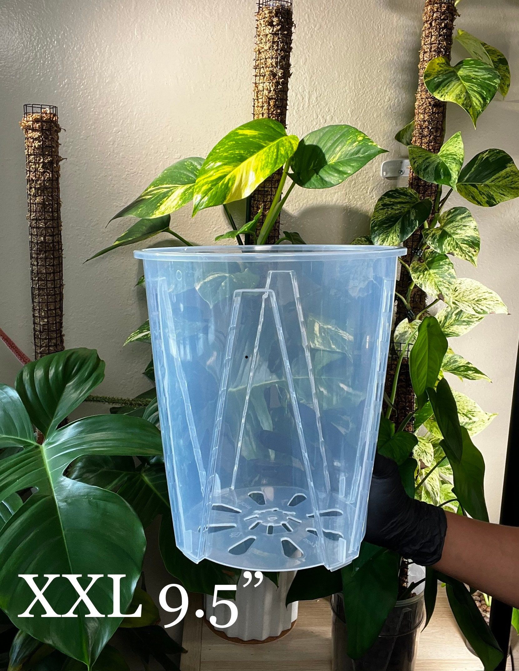 Thick Plastic Transparent Plant Pot Sets of 3 8 & 9.5 - Etsy