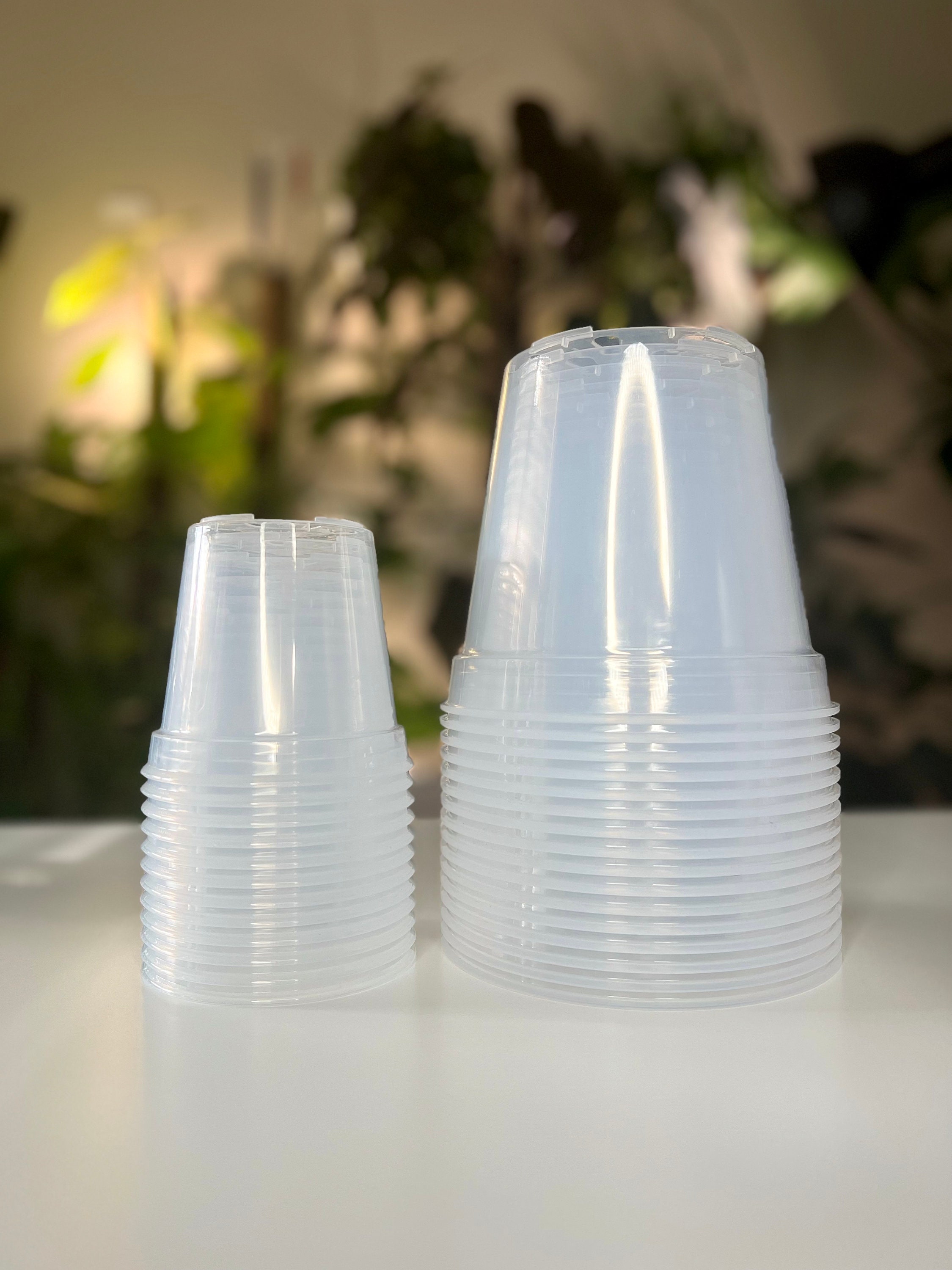 Plastic Transparent Plant Pot, Set of 5, 4", FREE SHIPPING - Etsy