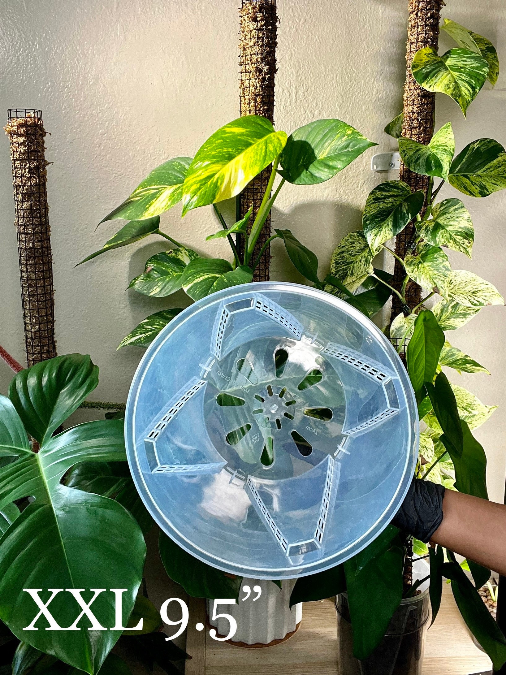 Thick Plastic Transparent Plant Pot, Sets of 3, 8 & 9.5, FREE SHIPPING ...