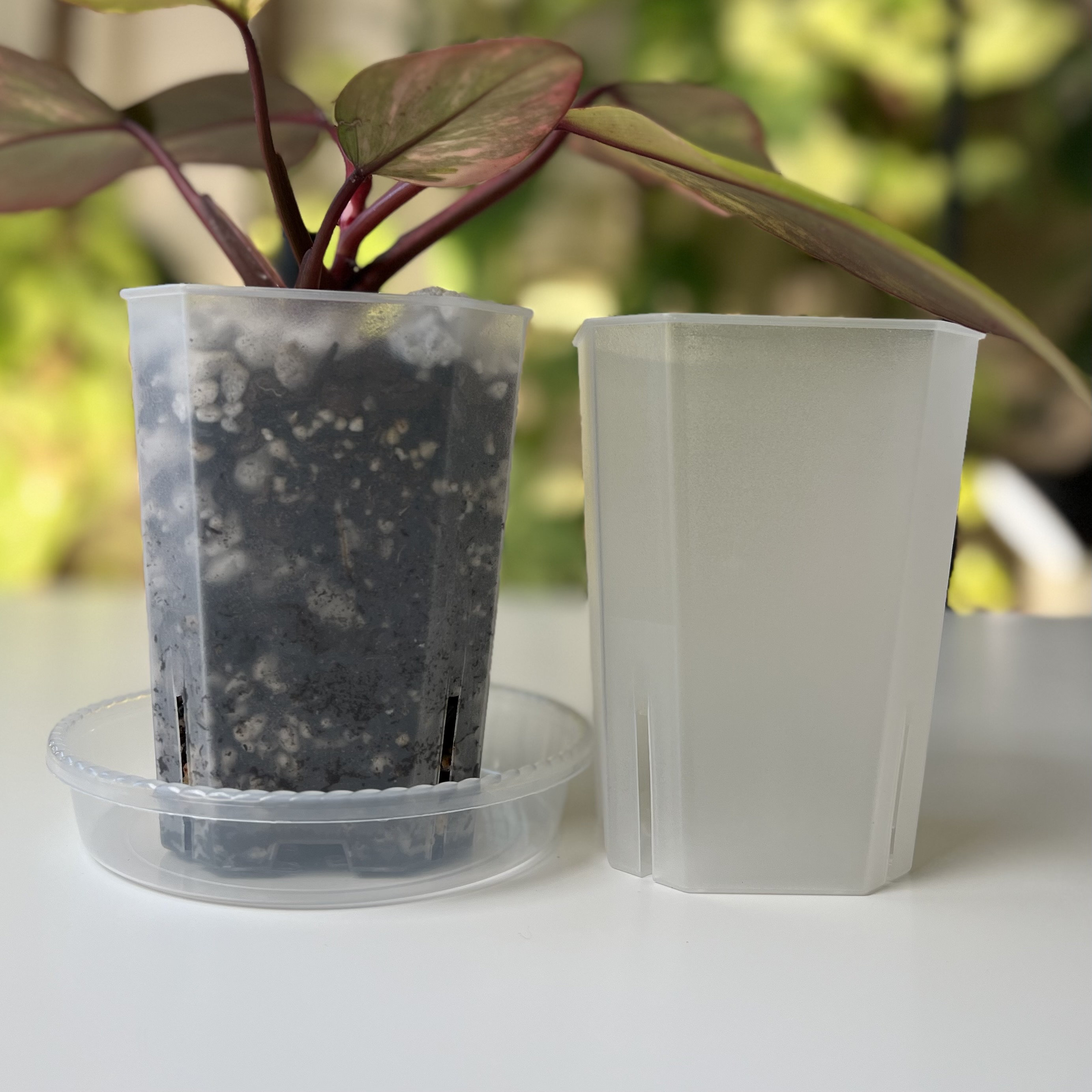 Lightweight Clear Plant Pot, Sets of 10, Sizes 3.5, 4.7, 6, FREE ...