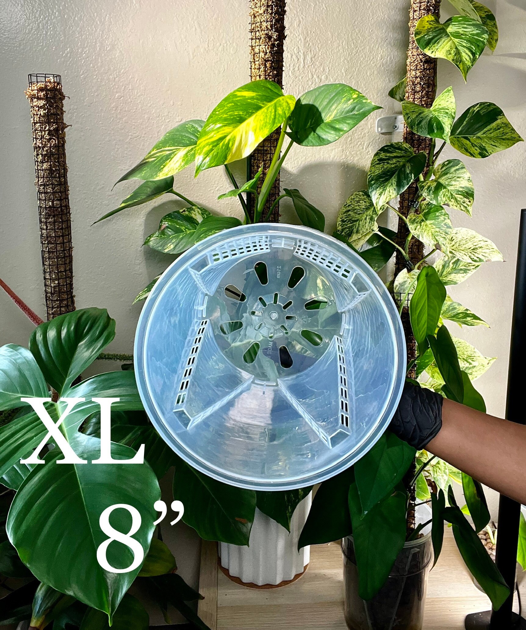 Thick Plastic Transparent Plant Pot, Sets of 3, 8 & 9.5, FREE SHIPPING ...