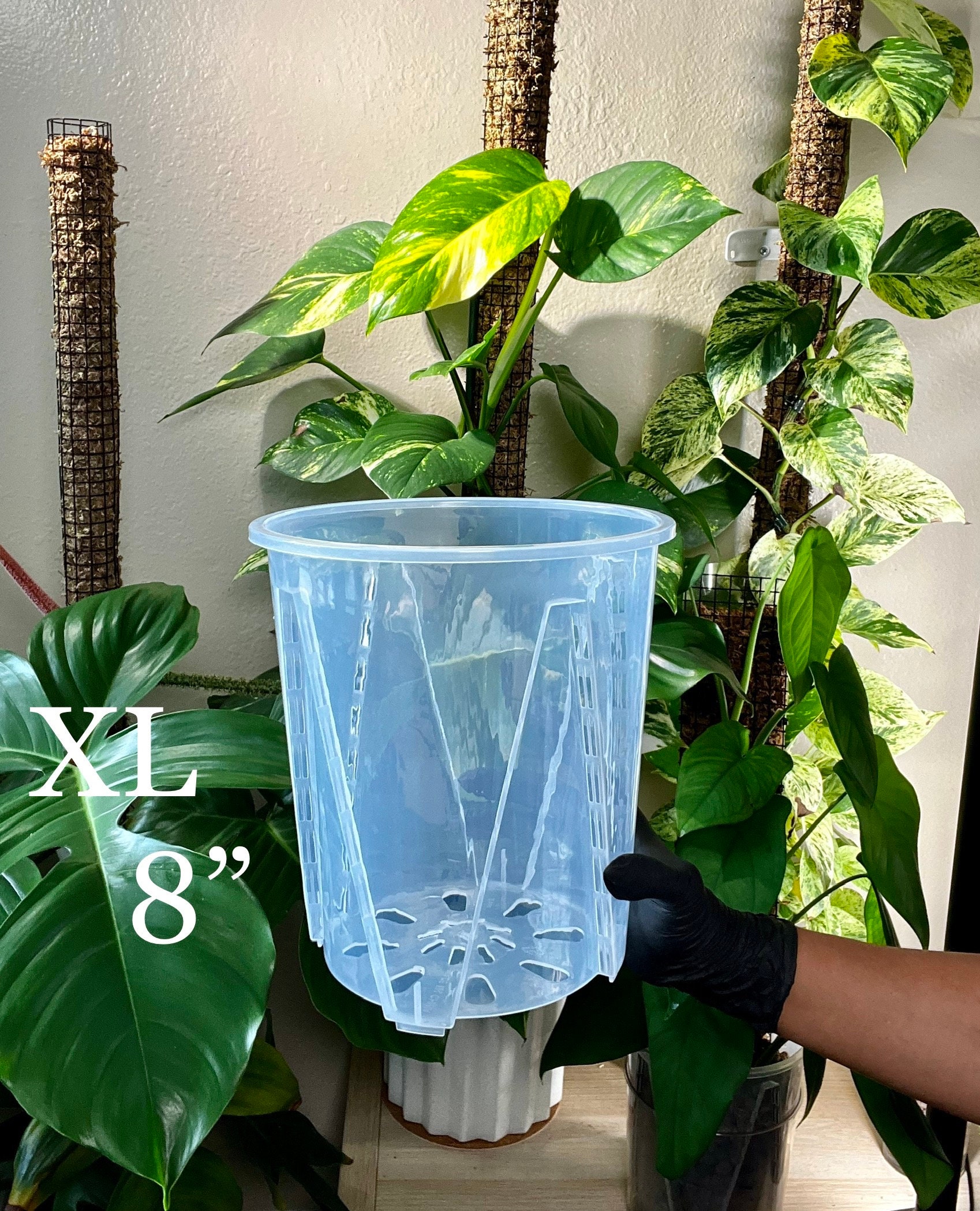 Thick Plastic Transparent Plant Pot, Sets of 3, 8 & 9.5, FREE SHIPPING ...