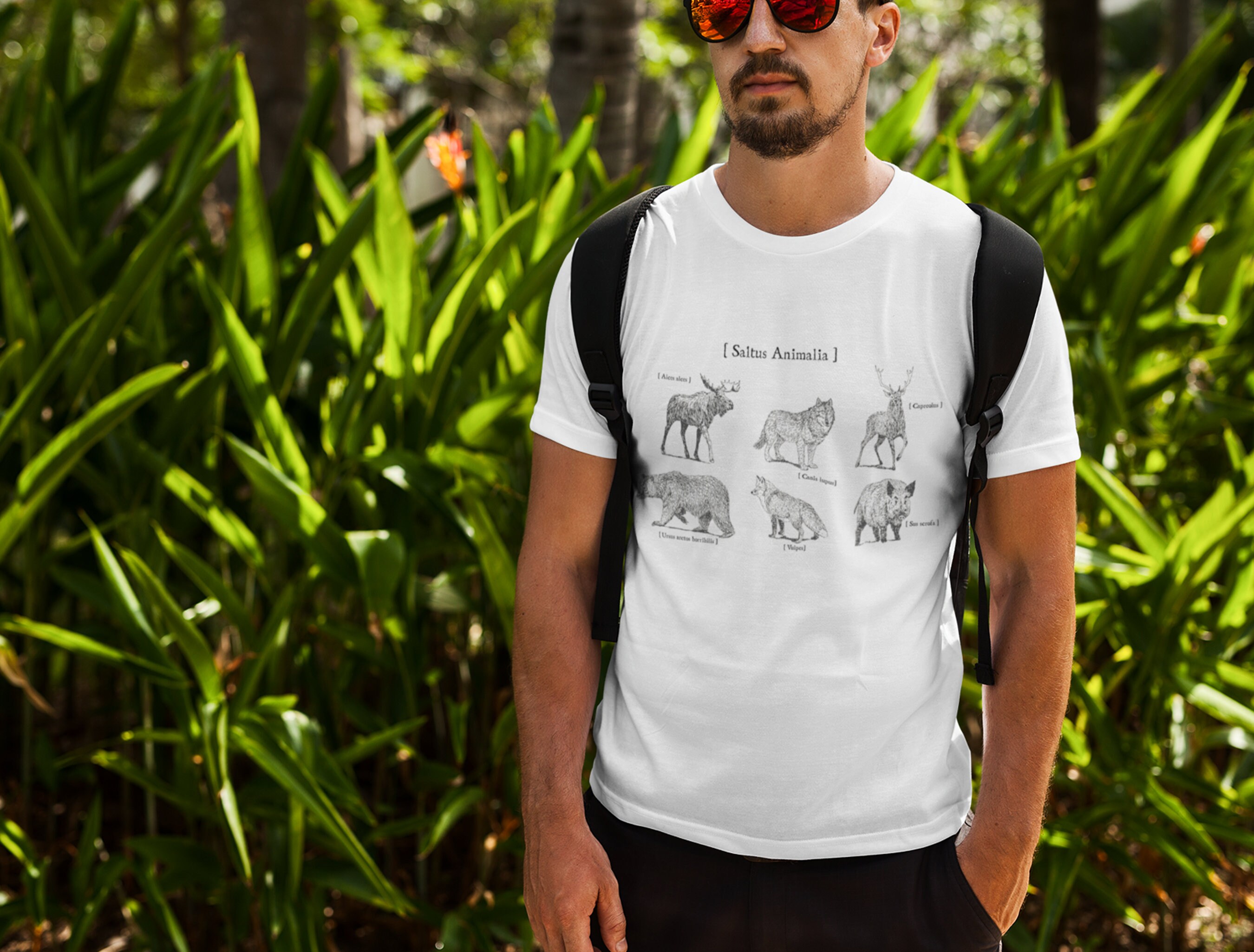 Boar Shirt Moose Art Work Animal Anatomy Zoology Shirt Scientific Names ...
