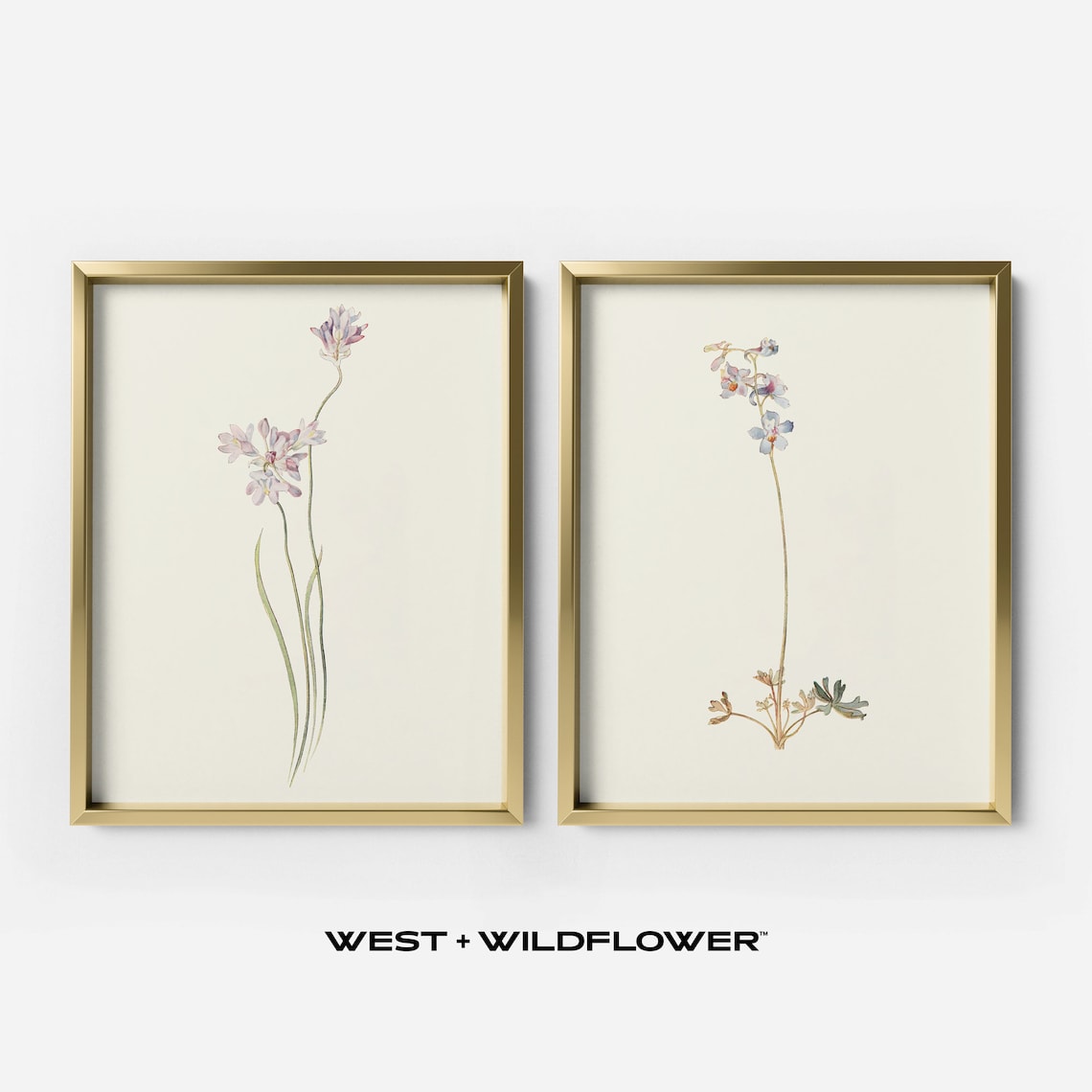 Collection of Vintage Botanical Prints, Set of 9 Antique Watercolor ...