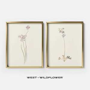 Collection of Vintage Botanical Prints, Set of 9 Antique Watercolor Floral Prints, Rustic ...