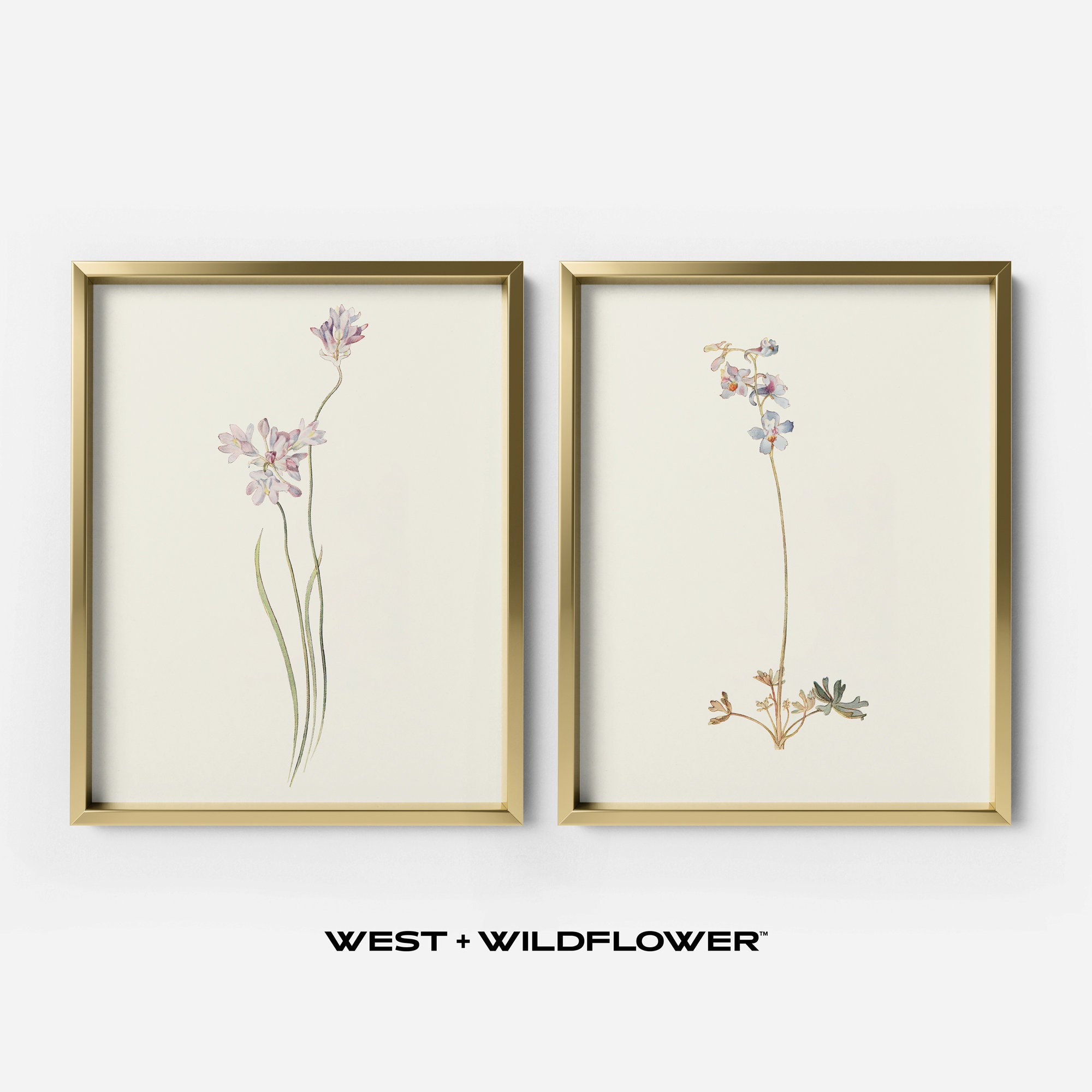 Collection of Vintage Botanical Prints, Set of 9 Antique Watercolor ...