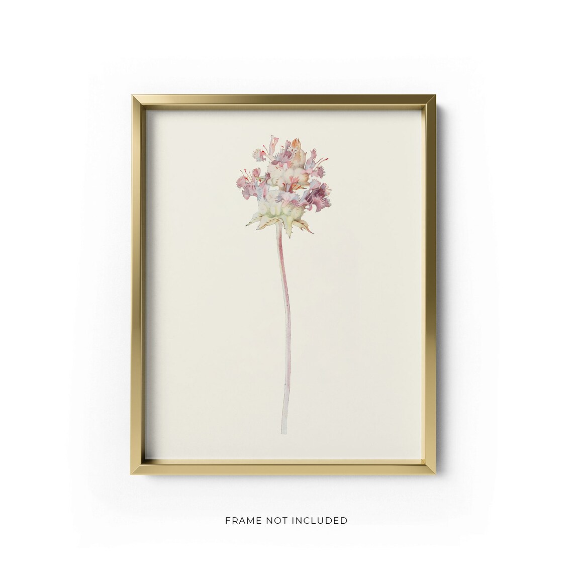 Collection of Vintage Botanical Prints, Set of 9 Antique Watercolor ...