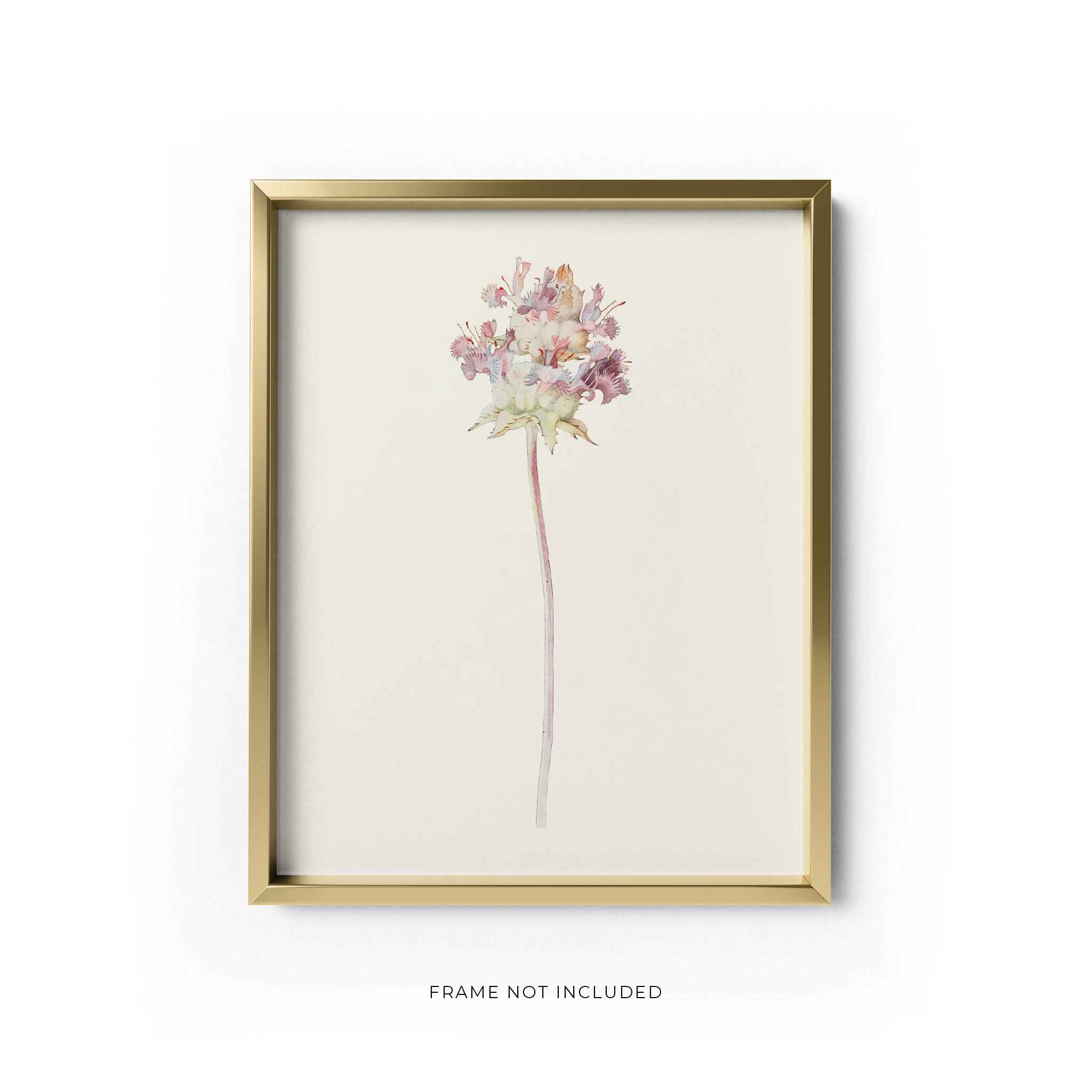 Collection of Vintage Botanical Prints, Set of 9 Antique Watercolor Floral Prints, Rustic ...