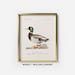Vintage Duck Gallery Set of 6, Bird Wall Artwork, Bird Posters, Mallard ...