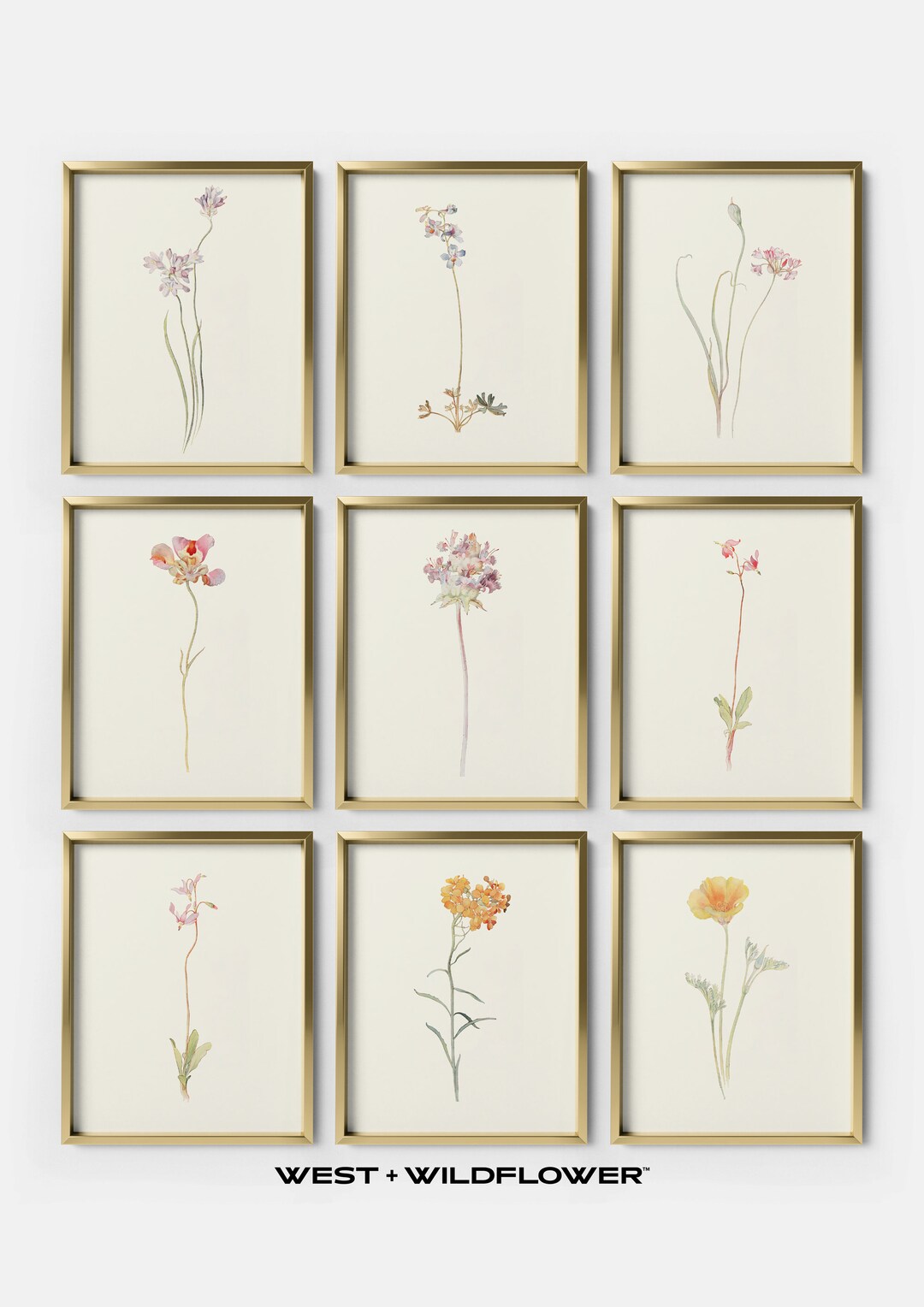 Collection of Vintage Botanical Prints, Set of 9 Antique Watercolor ...
