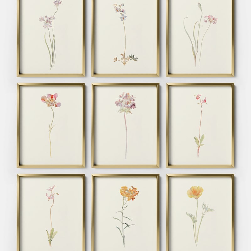 Botanical Art Print - Etsy