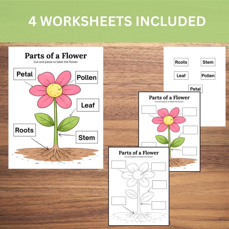Parts of a Flower Craft Worksheet, Spring Science Activity, Montessori ...