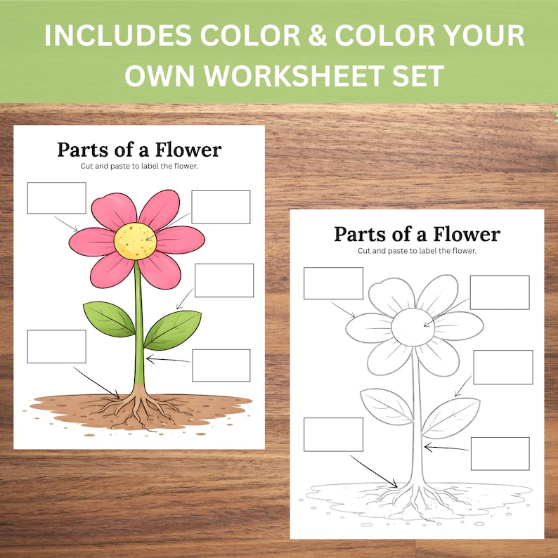 Parts of a Flower Craft Worksheet, Spring Science Activity, Montessori ...