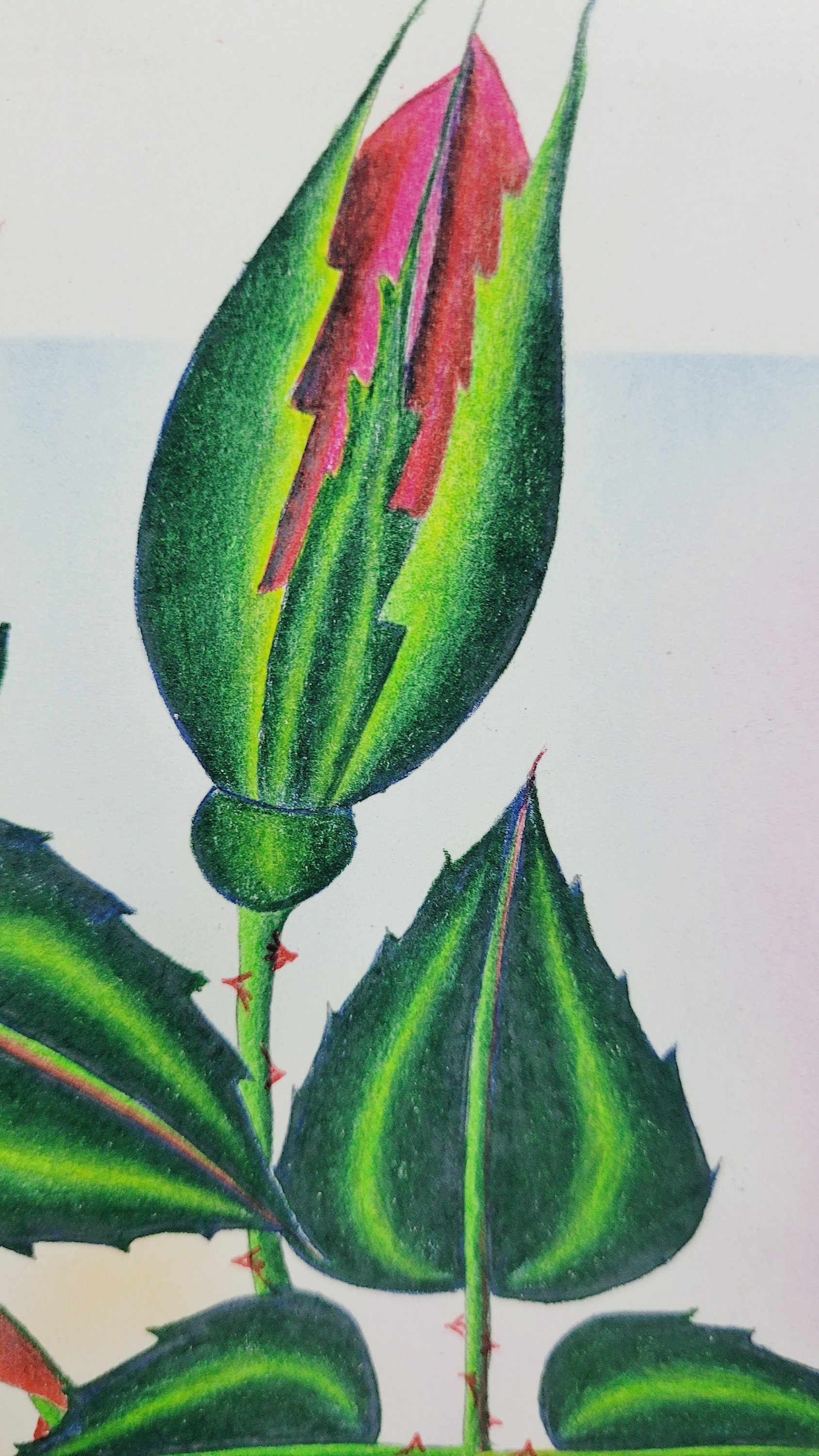 Original Prison Art Roses or Hearts - Etsy