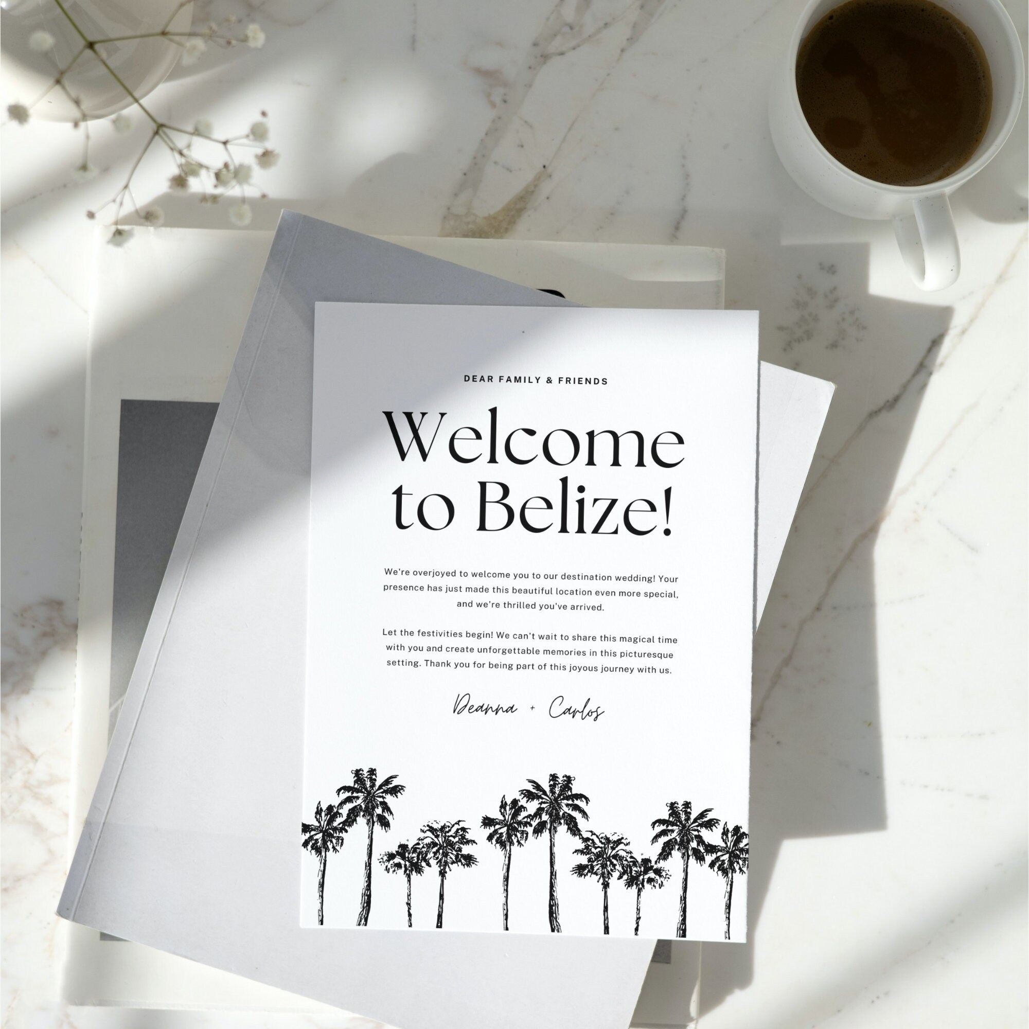 Wedding Welcome Letter, Destination Wedding Itinerary, Travel Itinerary ...