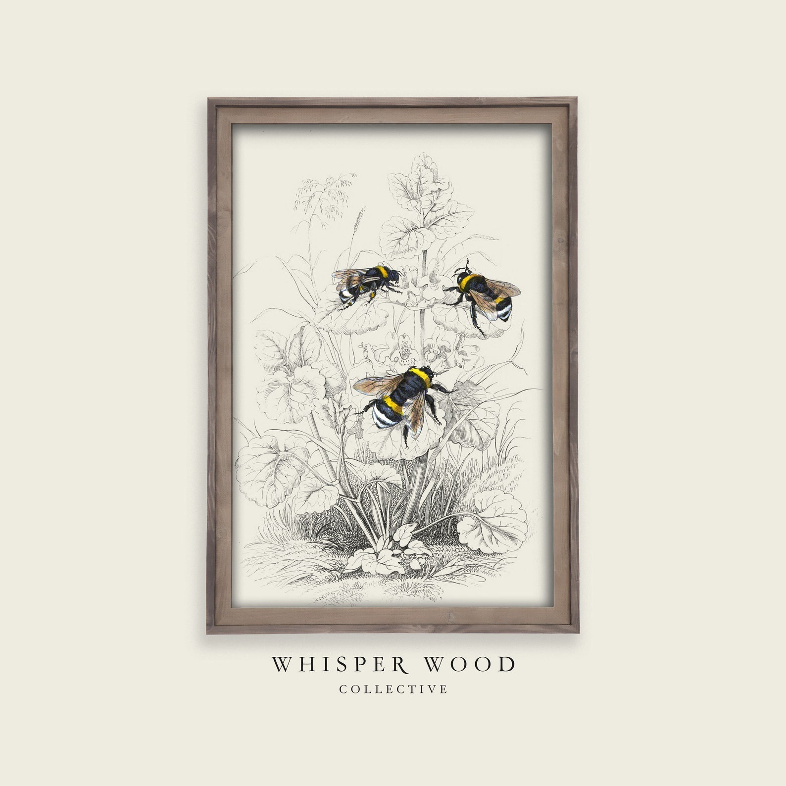 Antique Bee Print Set Vintage Illustration Digital Vintage - Etsy