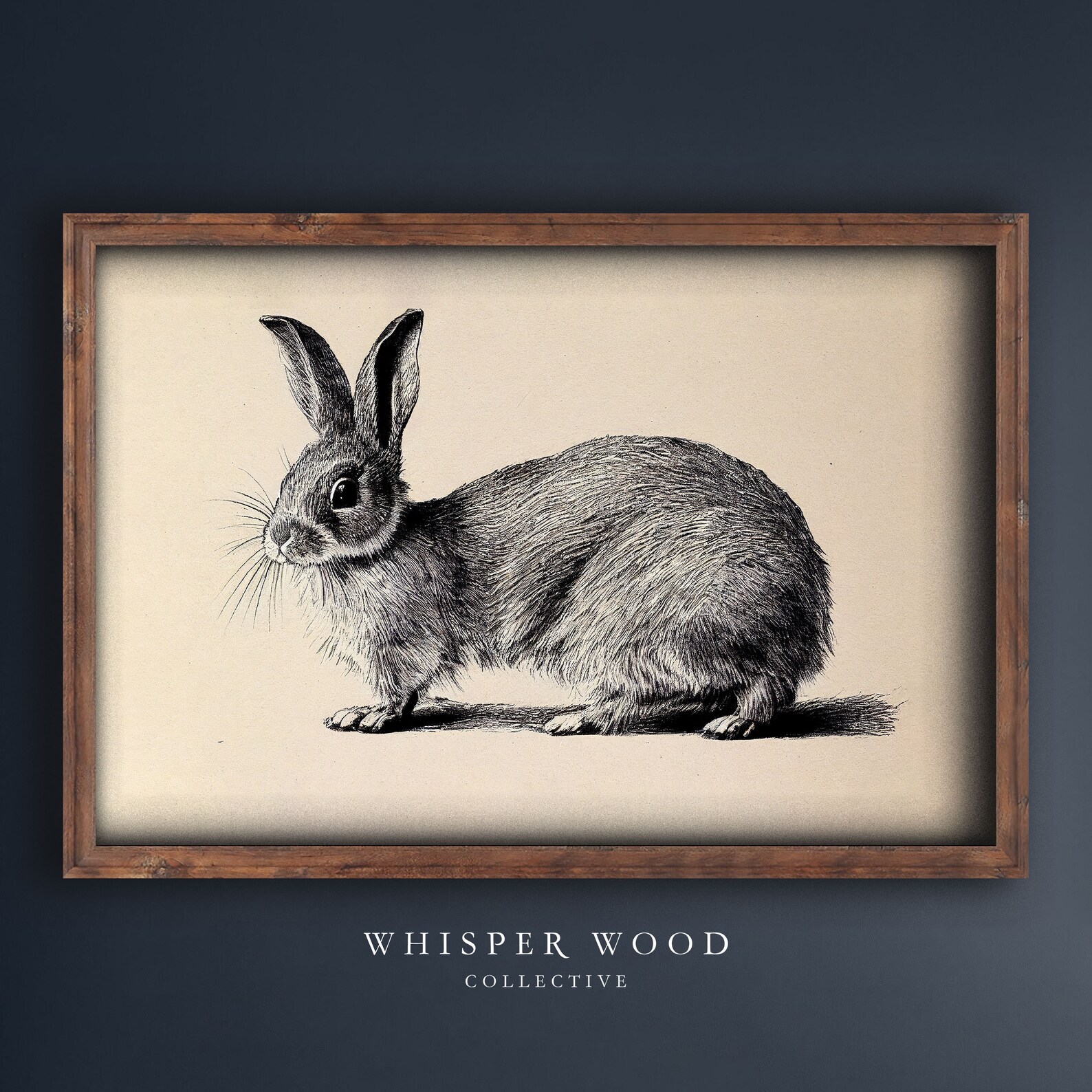 Rabbit Drawing | 1800s Style Animal Drawing | Warm Rustic Country Decor ...