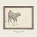 Calf Sketch | 1800s Farm Drawing | Warm Rustic Country Decor | Vintage ...