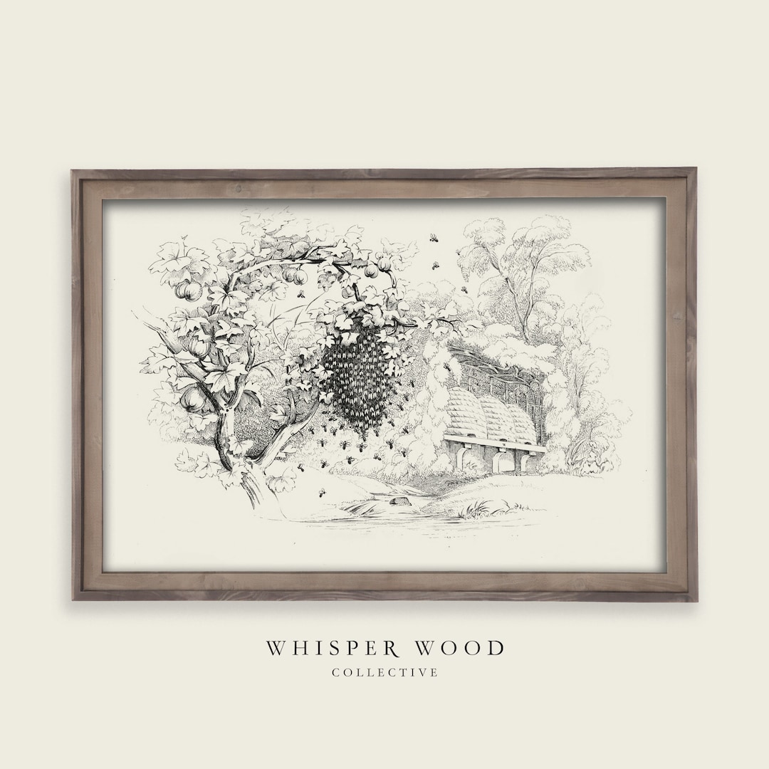 Bee Swarm Naturalist Drawing | 1840 Animal Drawing | Rustic Country ...