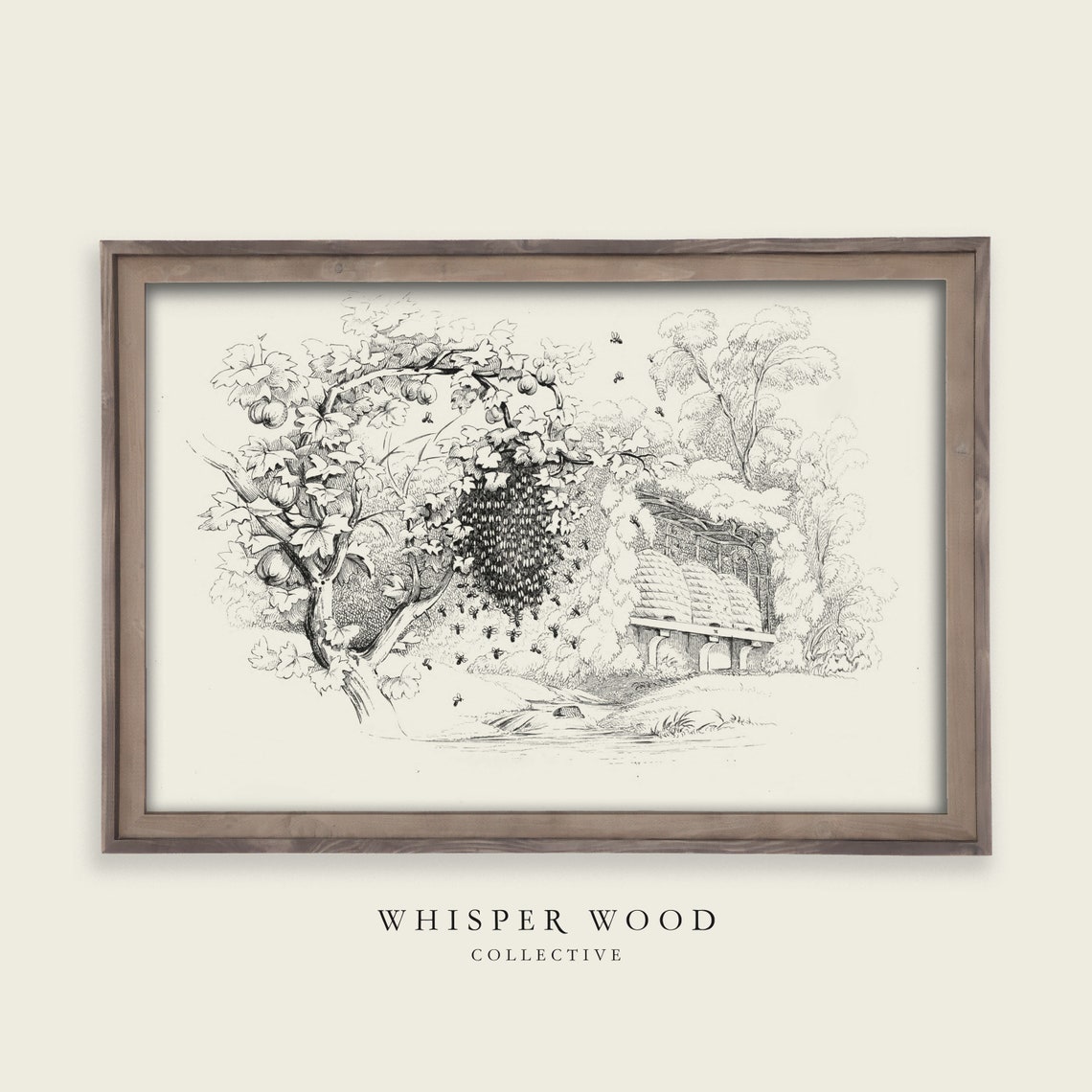 Bee Swarm Naturalist Drawing 1840 Animal Drawing Rustic Country Decor ...