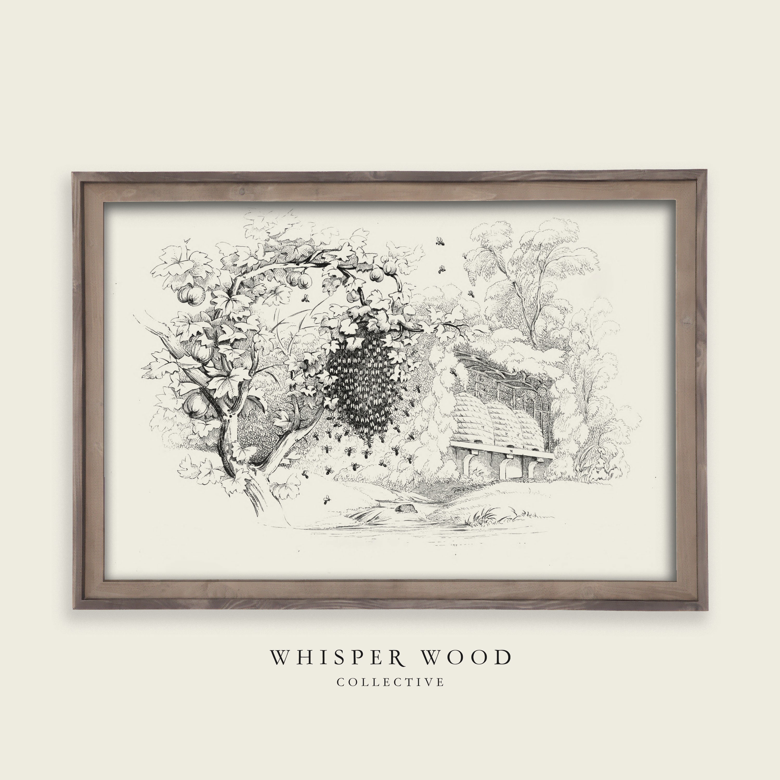 Bee Swarm Naturalist Drawing | 1840 Animal Drawing | Rustic Country ...