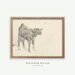 Calf Sketch | 1800s Farm Drawing | Warm Rustic Country Decor | Vintage ...