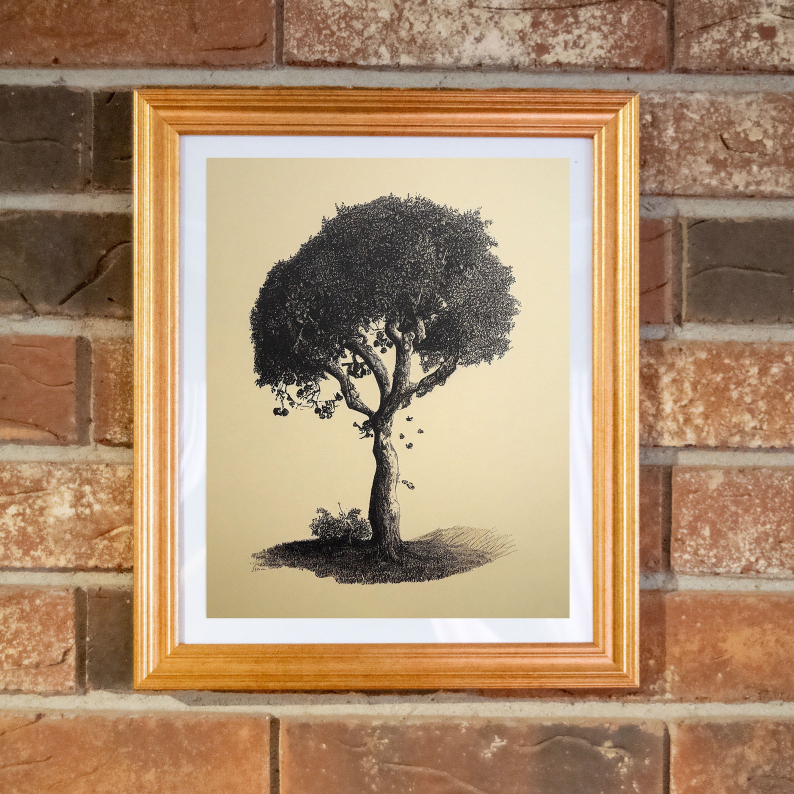 Tree Sketch | 1800s Style Botanical Drawing | Warm Rustic Country Decor ...