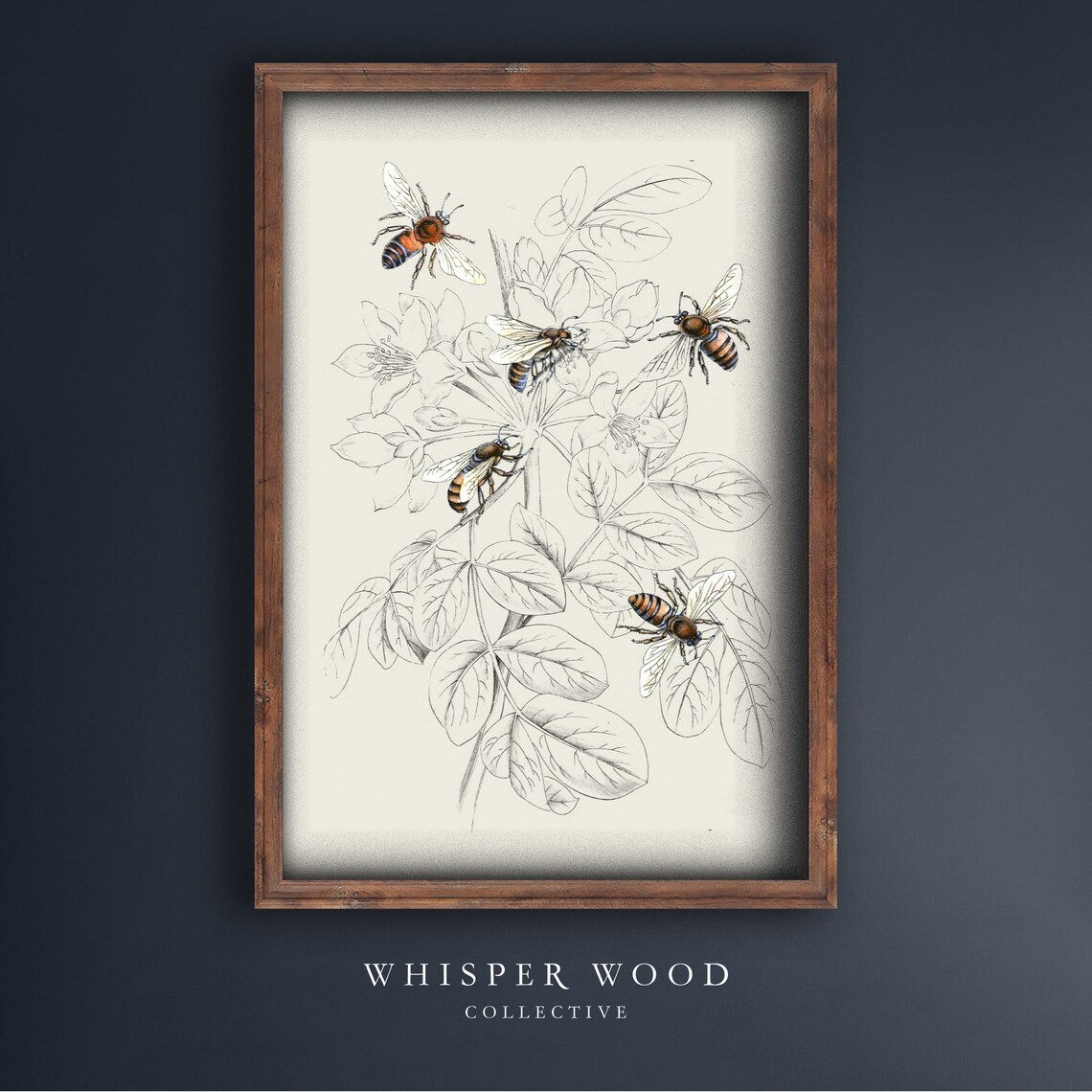 Antique Bee Print Set Vintage Illustration Digital Vintage - Etsy