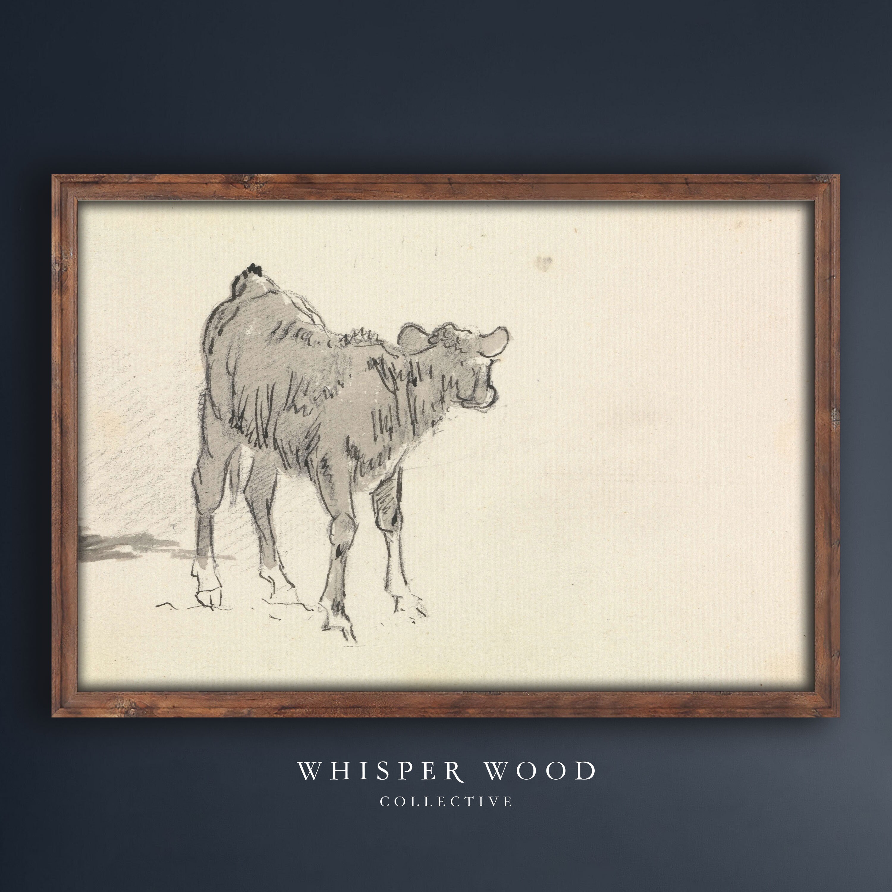 Calf Sketch | 1800s Farm Drawing | Warm Rustic Country Decor | Vintage ...