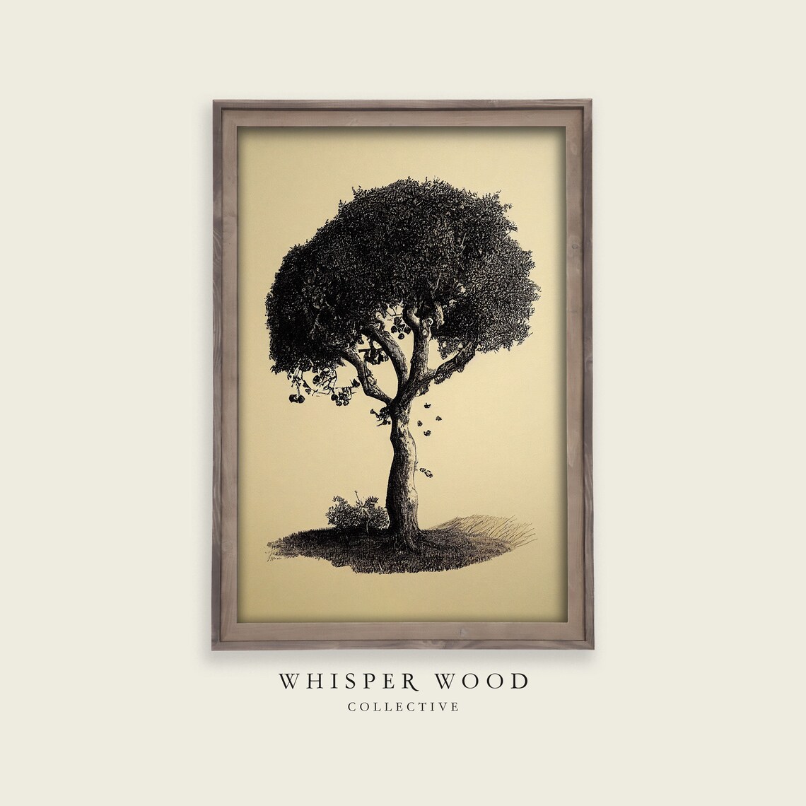 Tree Sketch | 1800s Style Botanical Drawing | Warm Rustic Country Decor ...