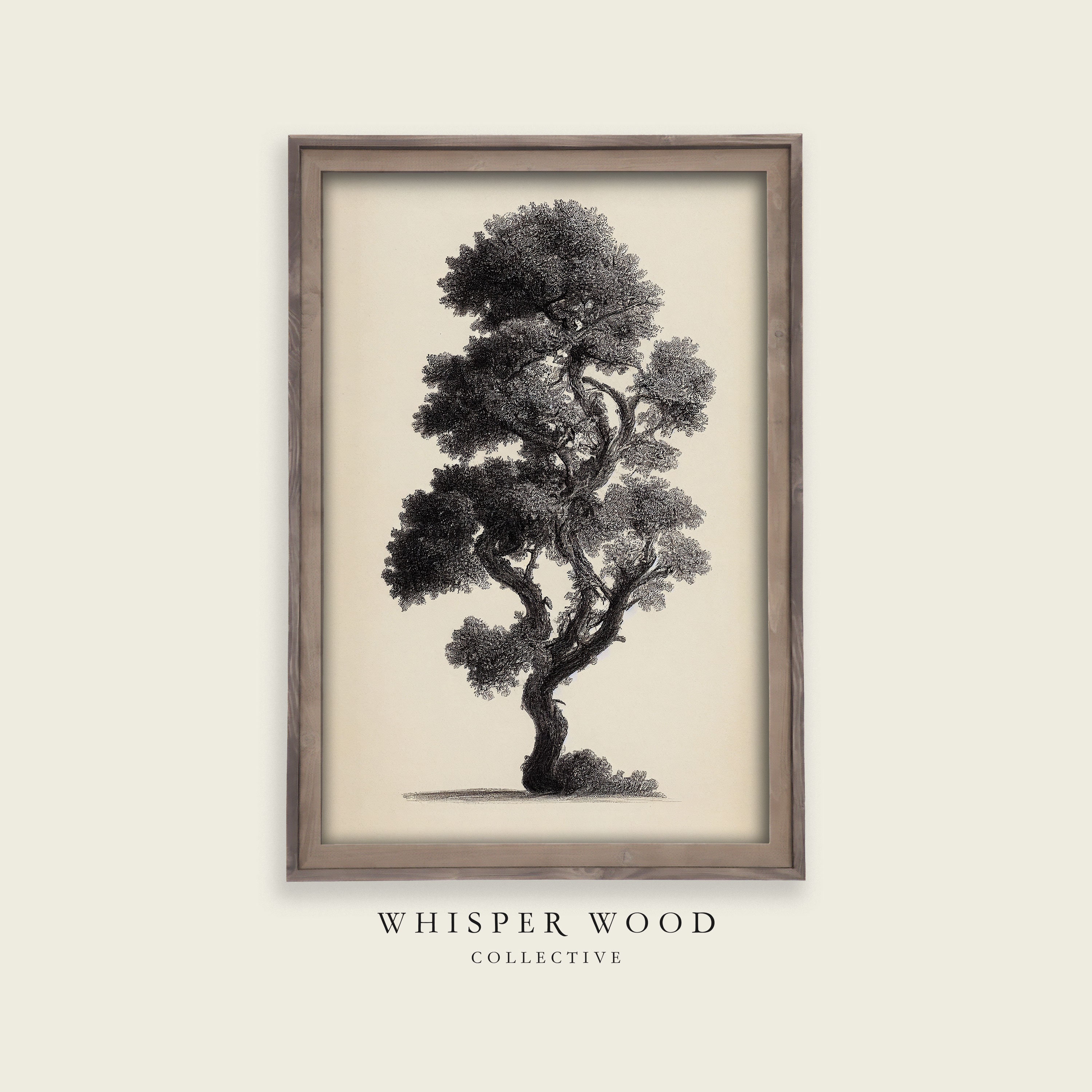 Tree Illustration | 1800s Style Drawing | Warm Rustic Country Decor ...