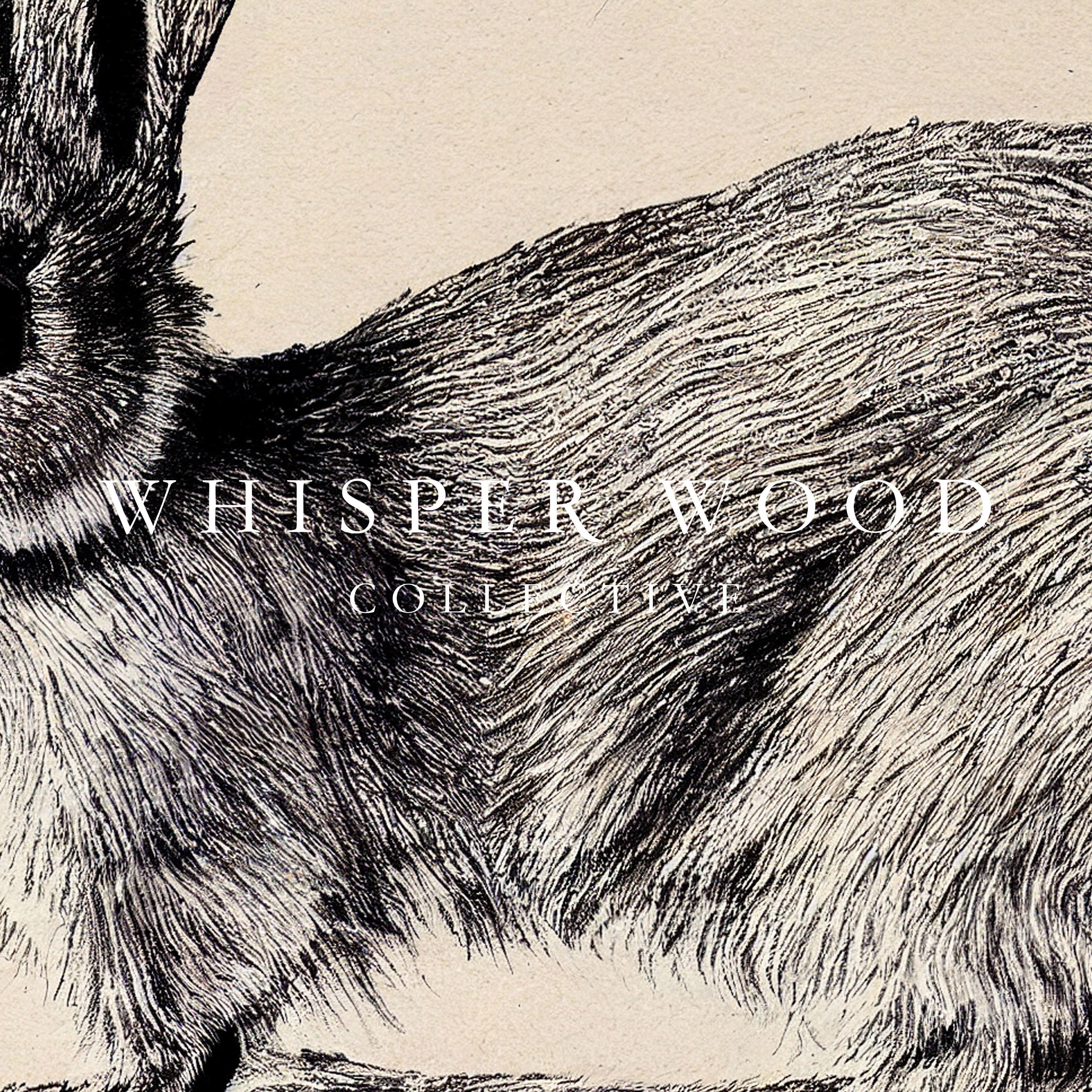 Rabbit Drawing | 1800s Style Animal Drawing | Warm Rustic Country Decor ...