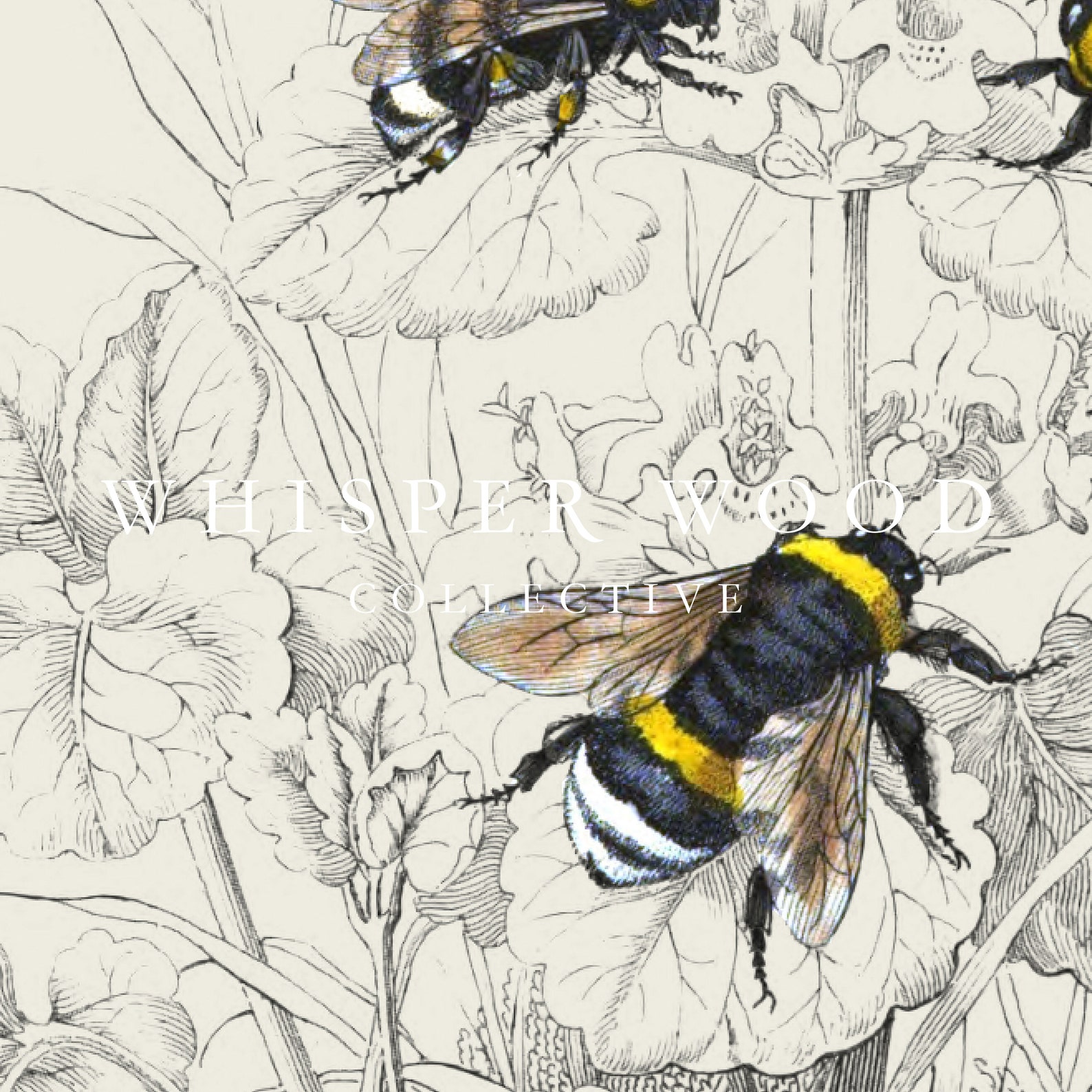 Antique Bee Print Set Vintage Illustration Digital Vintage - Etsy