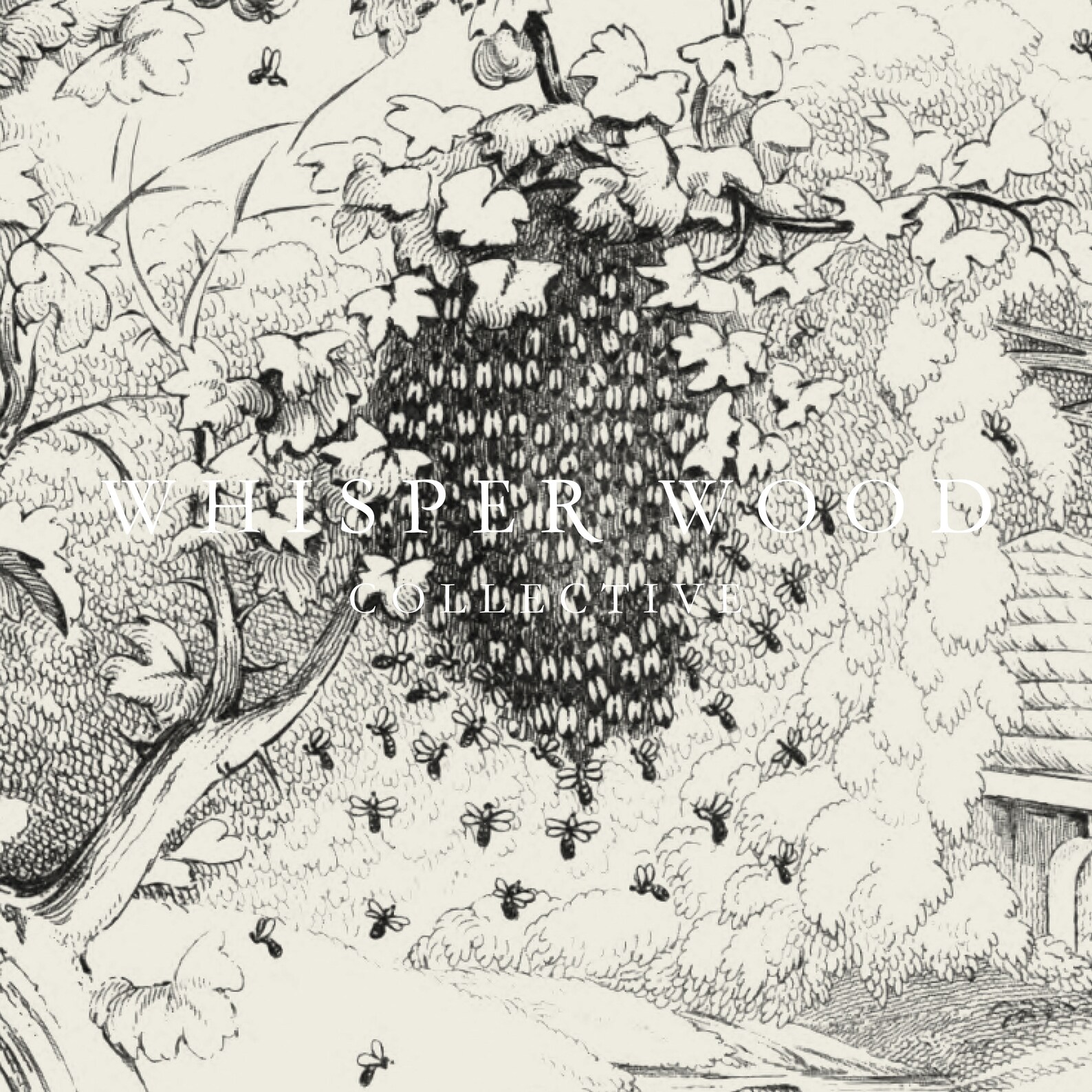 Bee Swarm Naturalist Drawing | 1840 Animal Drawing | Rustic Country ...