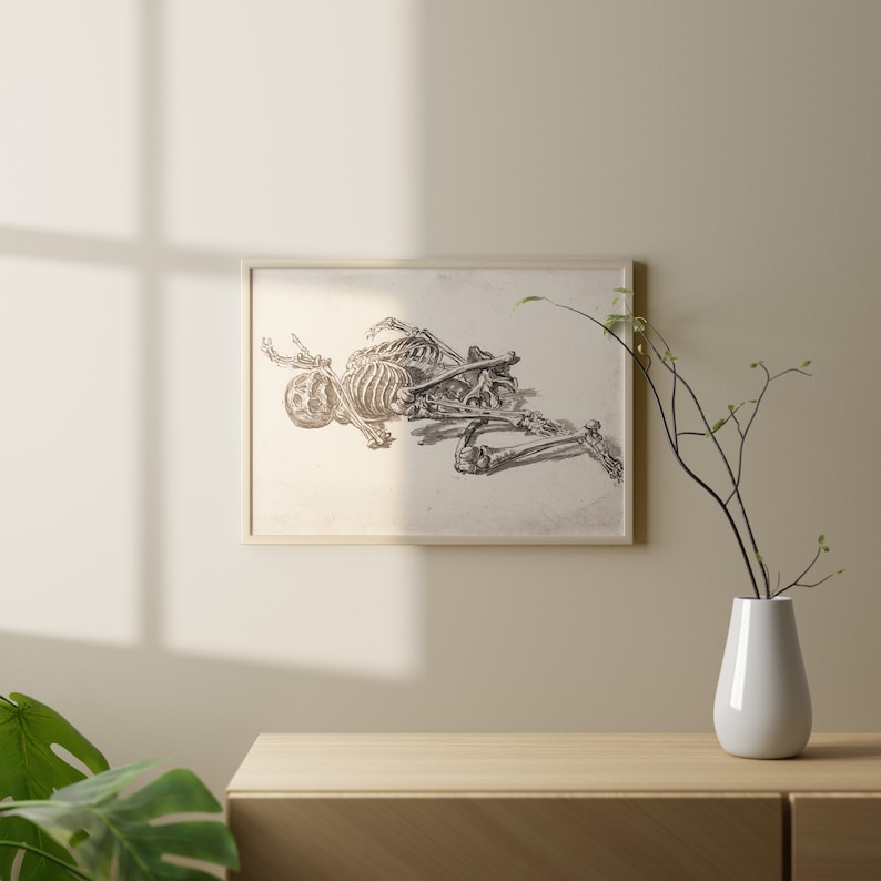 Skeleton Vintage Drawing 1800s Anatomical Naturalist Illustration ...