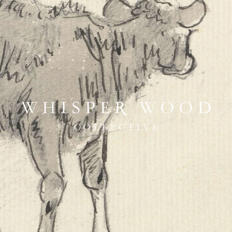 Calf Sketch | 1800s Farm Drawing | Warm Rustic Country Decor | Vintage ...