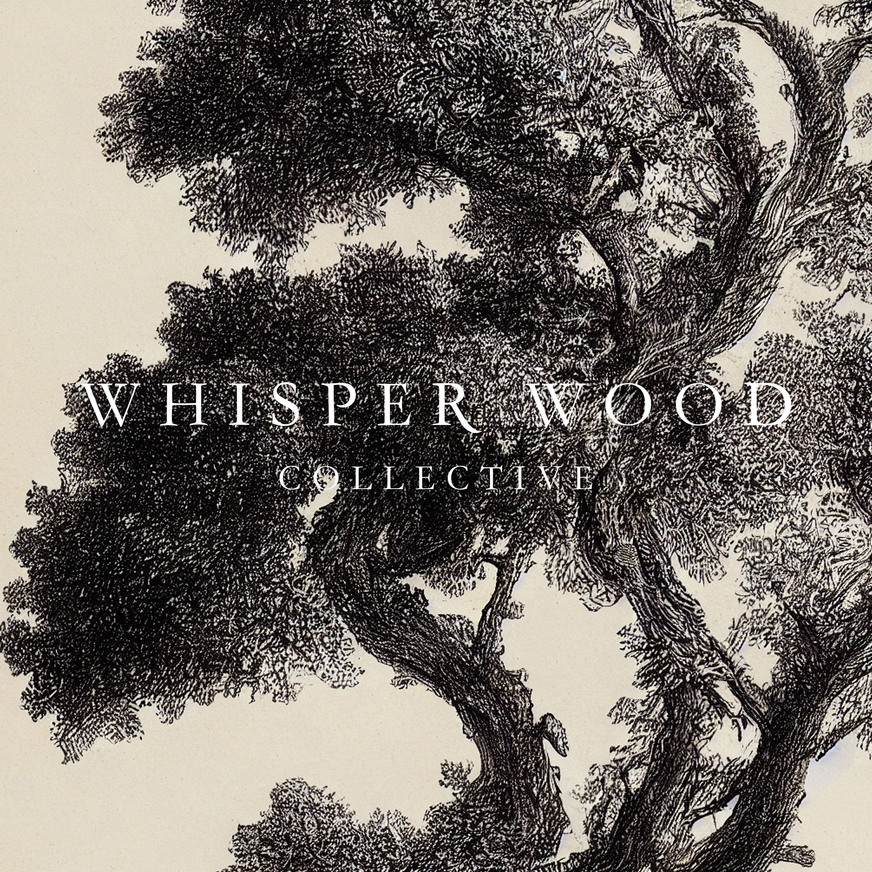 Tree Illustration | 1800s Style Drawing | Warm Rustic Country Decor ...