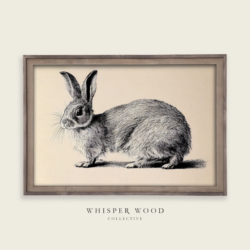 Rabbit Drawing - Etsy