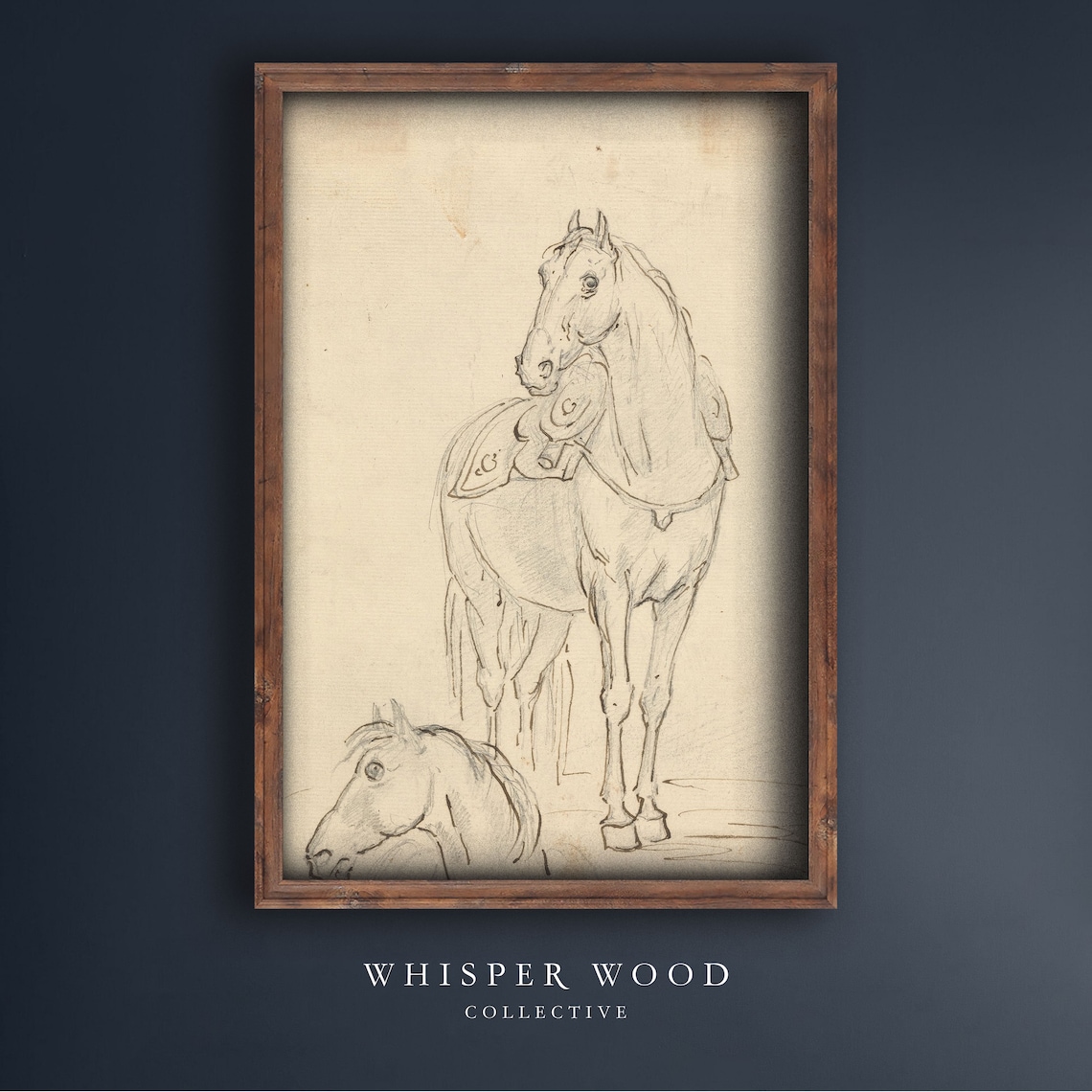 Horse Sketch Vintage Drawing 1700s Vintage Drawing - Etsy