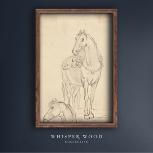 Horse Sketch Vintage Drawing | 1700s | Vintage Drawing Eclectic Wall ...