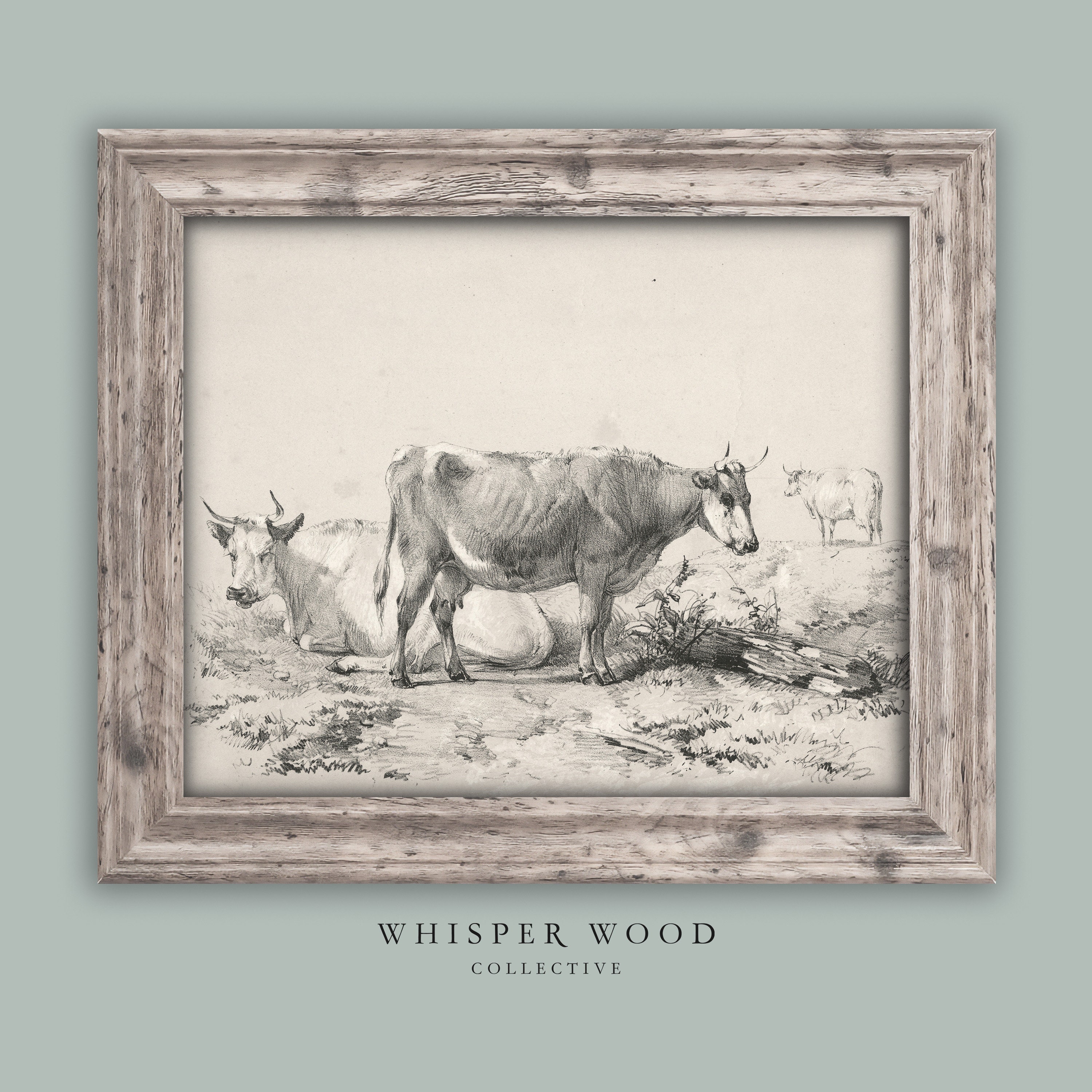 Cattle Vintage Drawing Instant Download Printable Wall Art 143 - Etsy