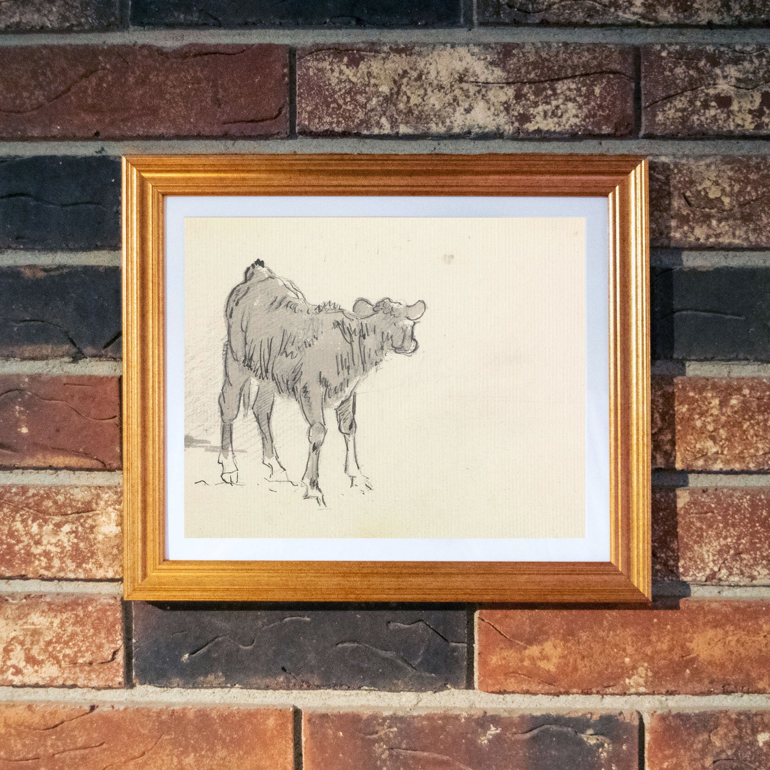 Calf Sketch | 1800s Farm Drawing | Warm Rustic Country Decor | Vintage ...