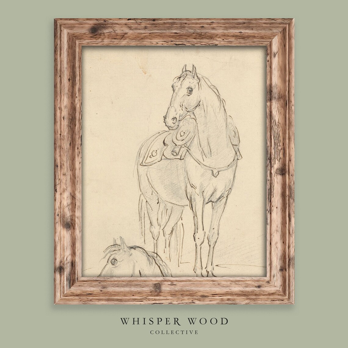 Horse Sketch Vintage Drawing 1700s Vintage Drawing - Etsy