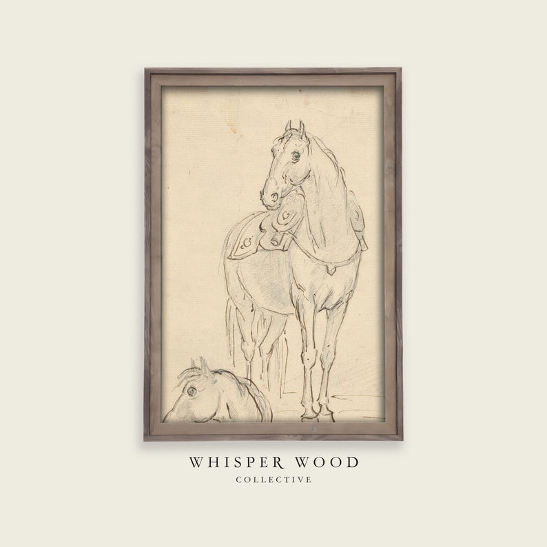 Horse Sketch Vintage Drawing 1700s Vintage Drawing - Etsy