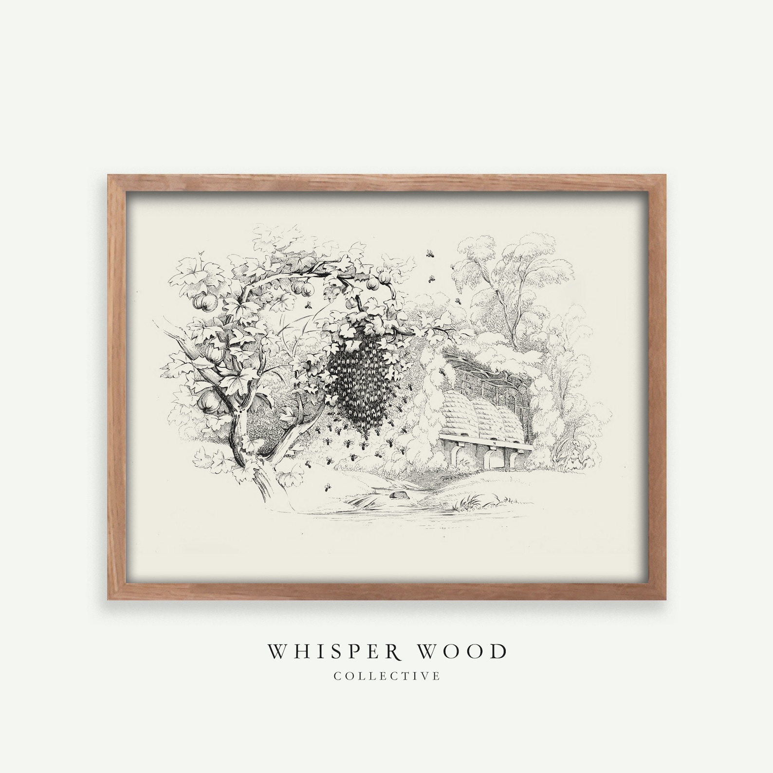 Bee Swarm Naturalist Drawing 1840 Animal Drawing Rustic Country Decor ...