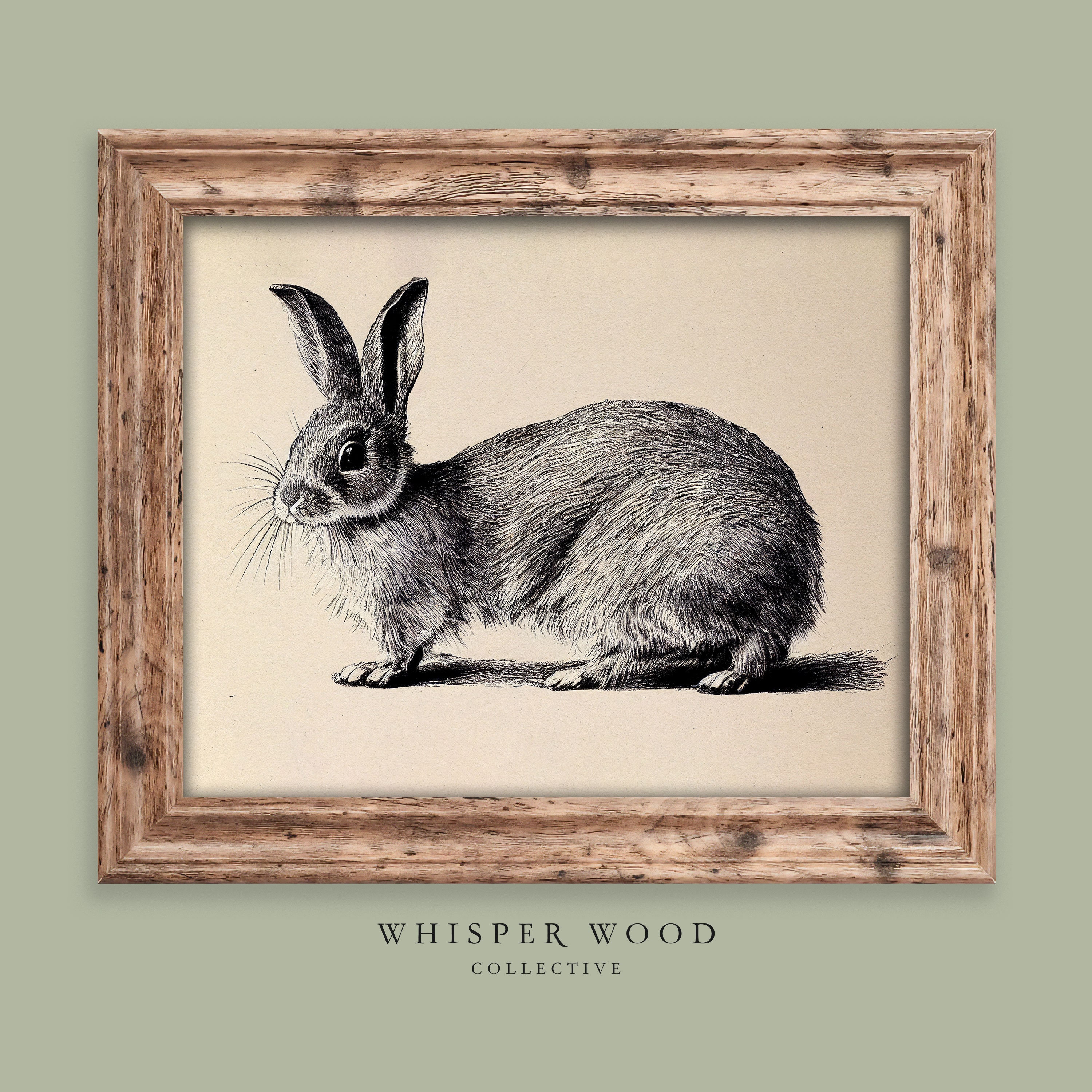 Rabbit Drawing | 1800s Style Animal Drawing | Warm Rustic Country Decor ...