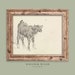 Calf Sketch | 1800s Farm Drawing | Warm Rustic Country Decor | Vintage ...