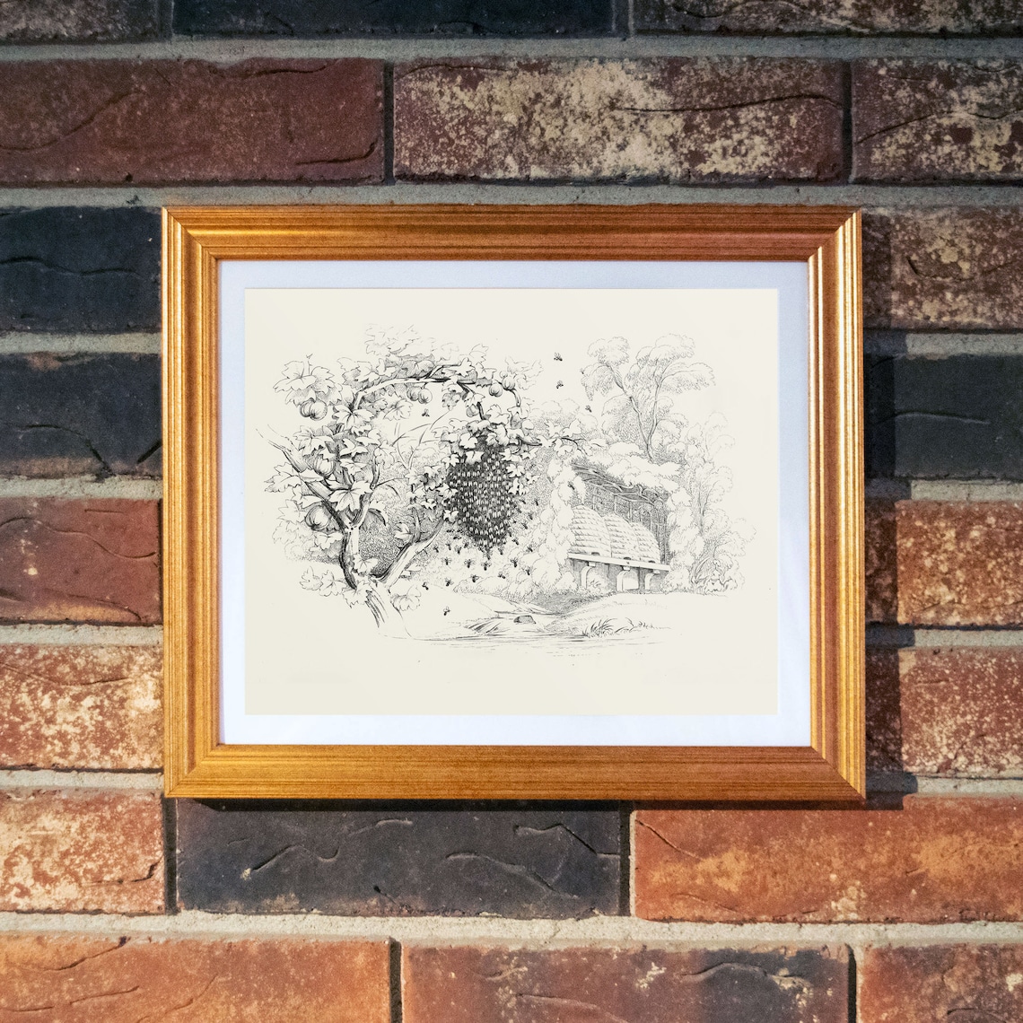 Bee Swarm Naturalist Drawing 1840 Animal Drawing Rustic Country Decor ...