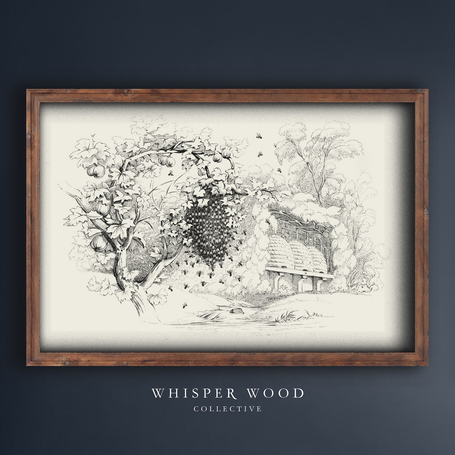 Bee Swarm Naturalist Drawing 1840 Animal Drawing Rustic - Etsy