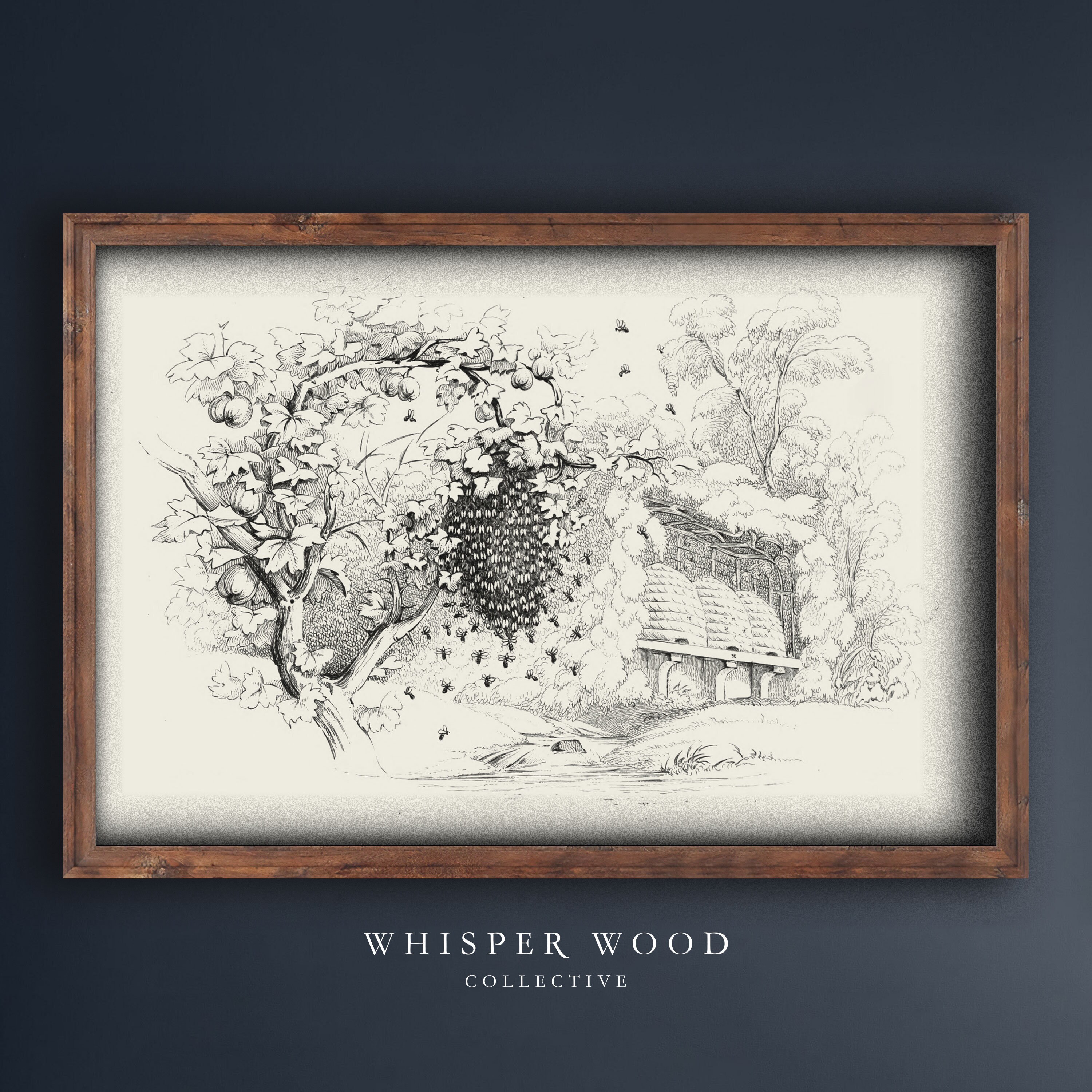 Bee Swarm Naturalist Drawing | 1840 Animal Drawing | Rustic Country ...